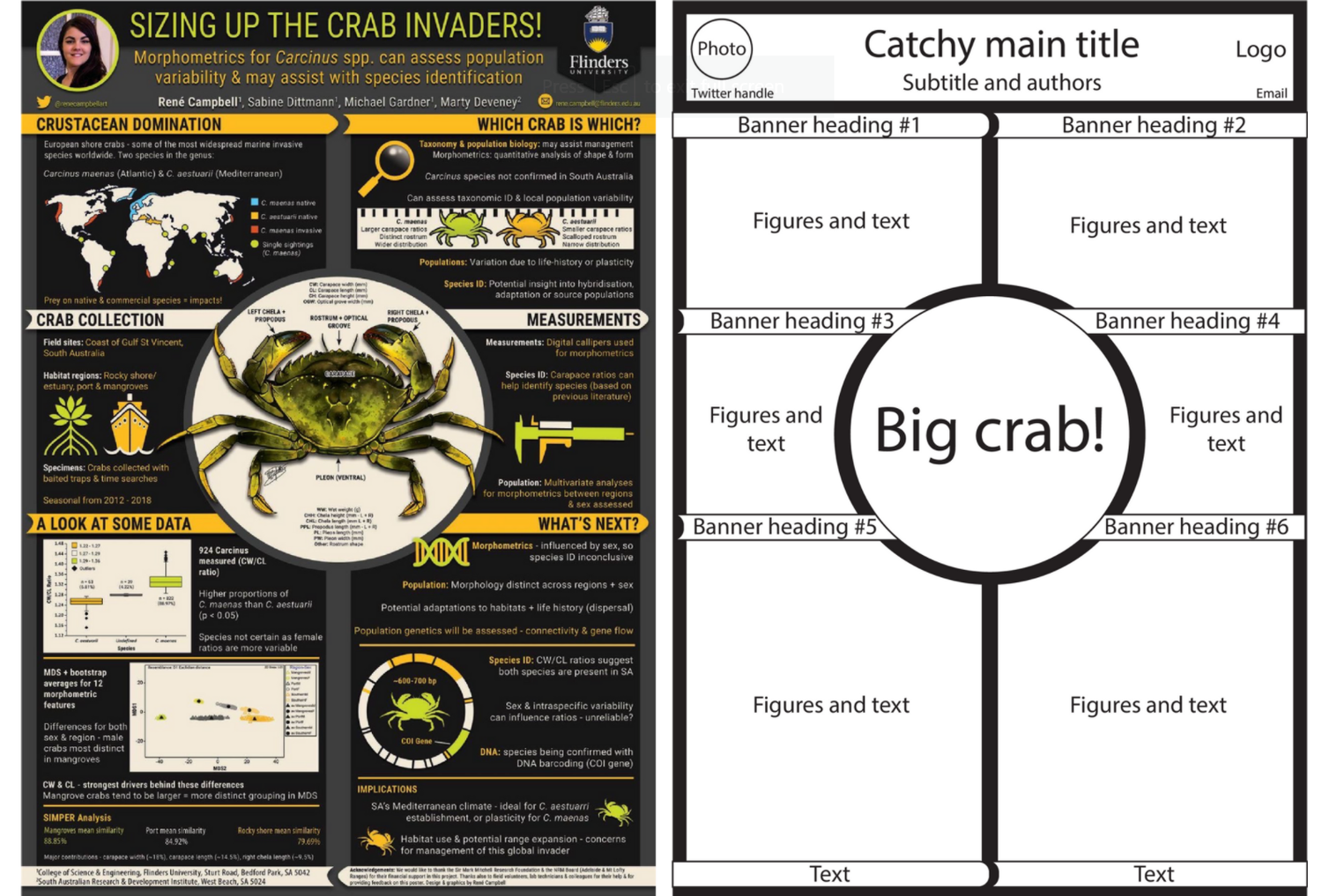 Looking for inspiration for your next scientific conference poster ...
