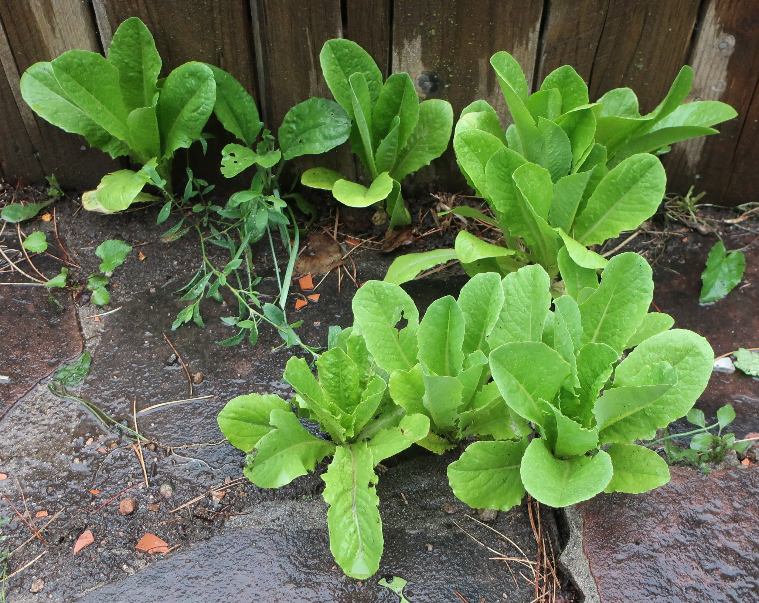 What is relevant now? Thinking about emerging methods. — Sage Research ...