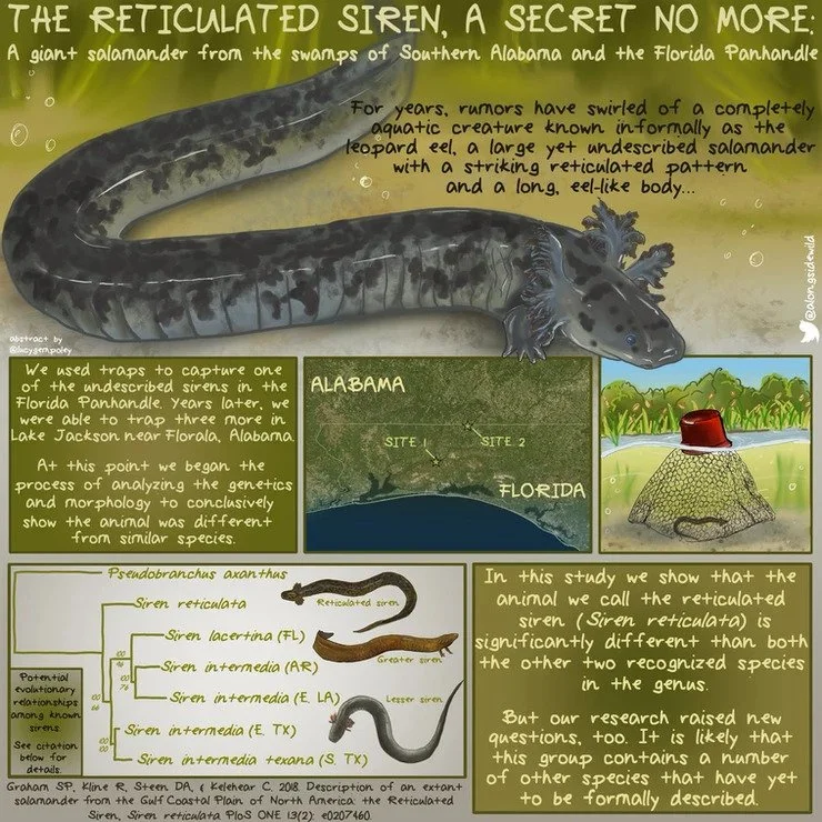 Creating a graphical abstract for your next paper — Sage Research ...