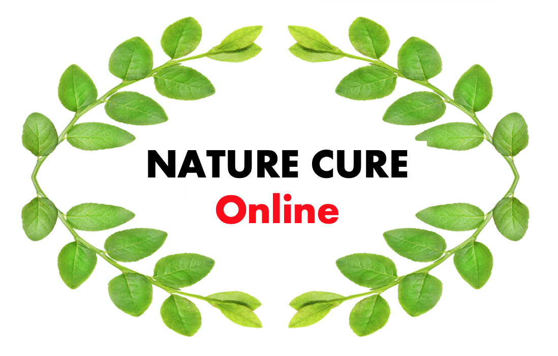 Store 2 — The Healing Garden