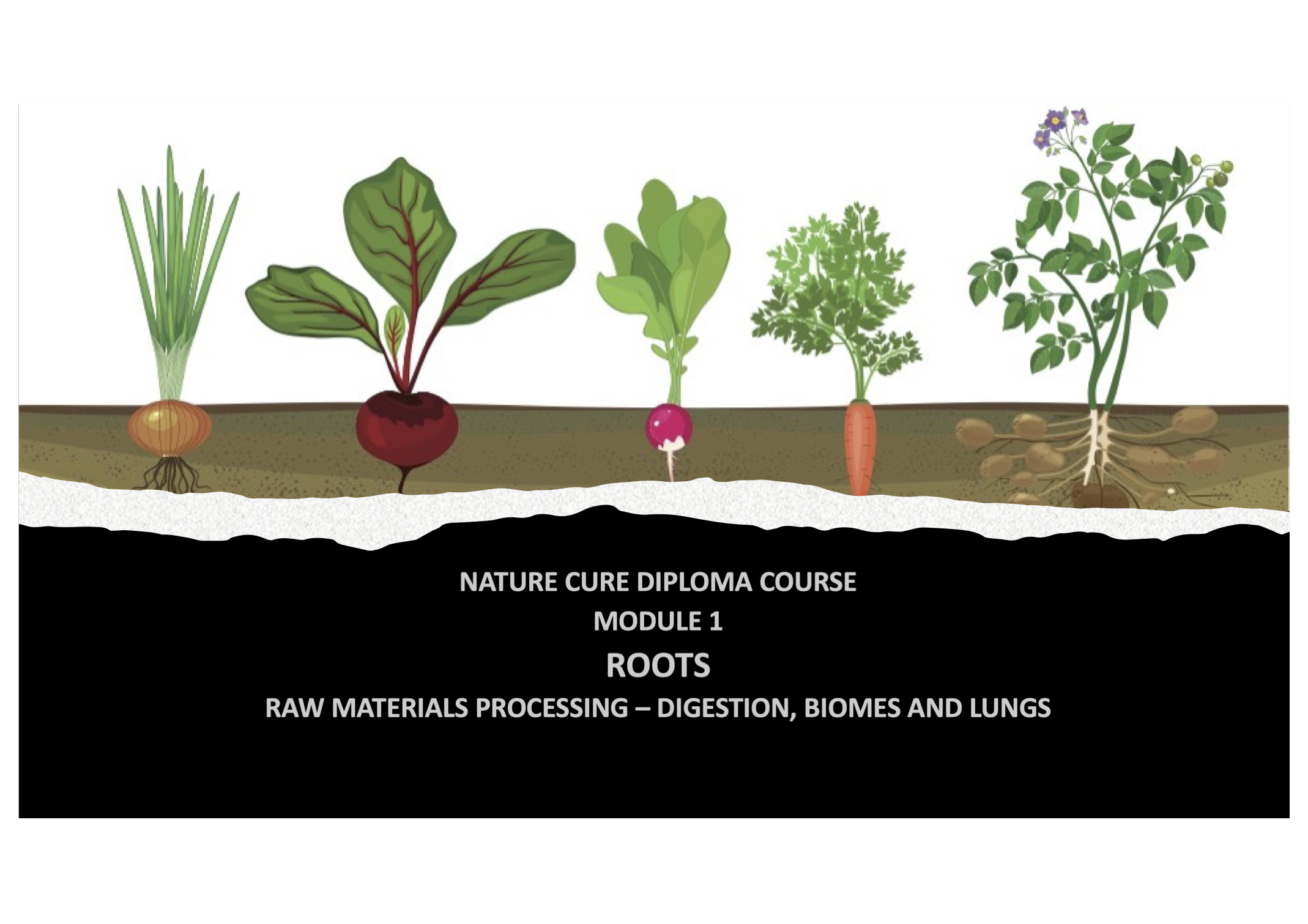 Store 2 — The Healing Garden