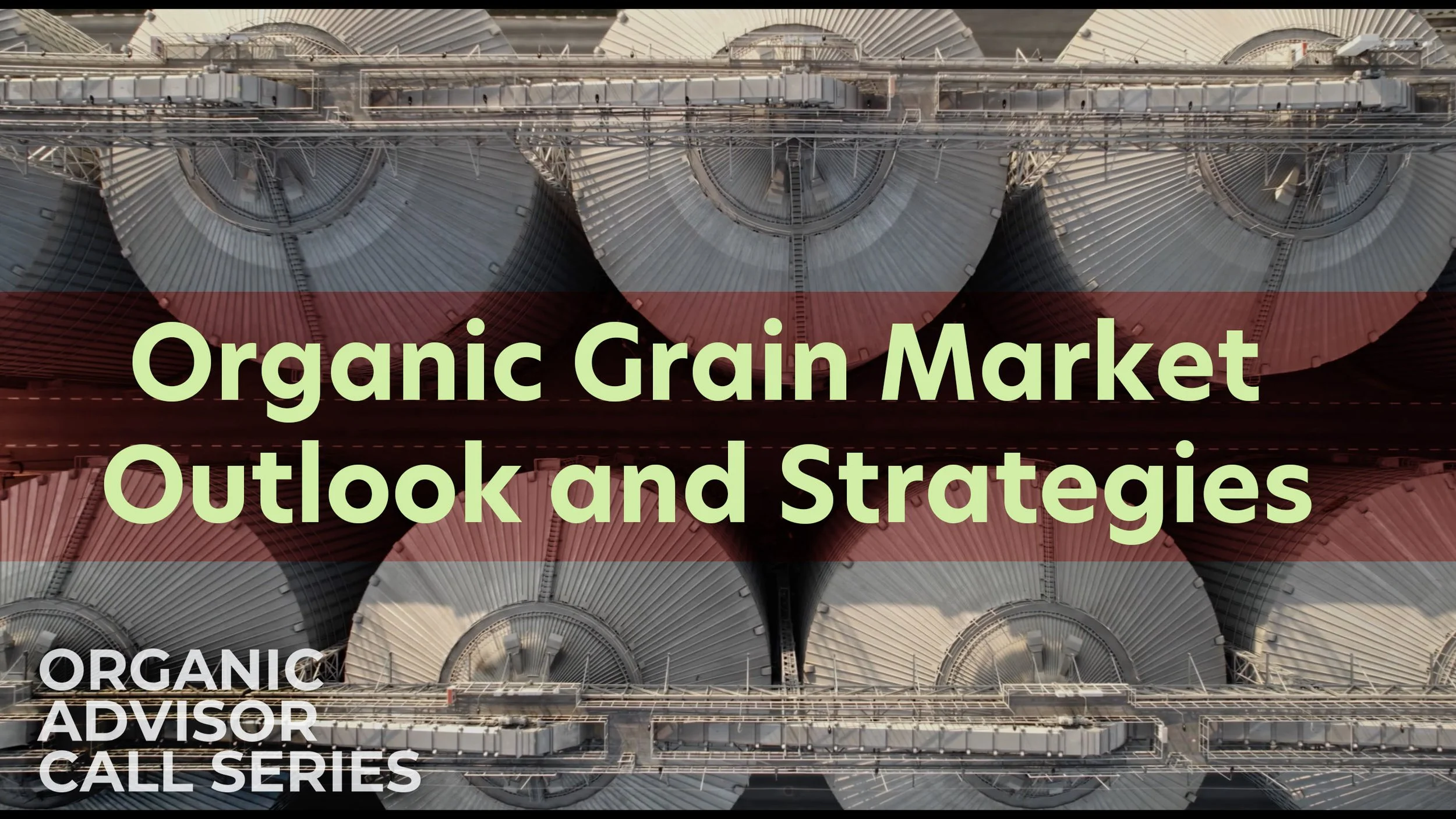 Organic Grain Market Outlook and Strategies - a Zoom event — OATS