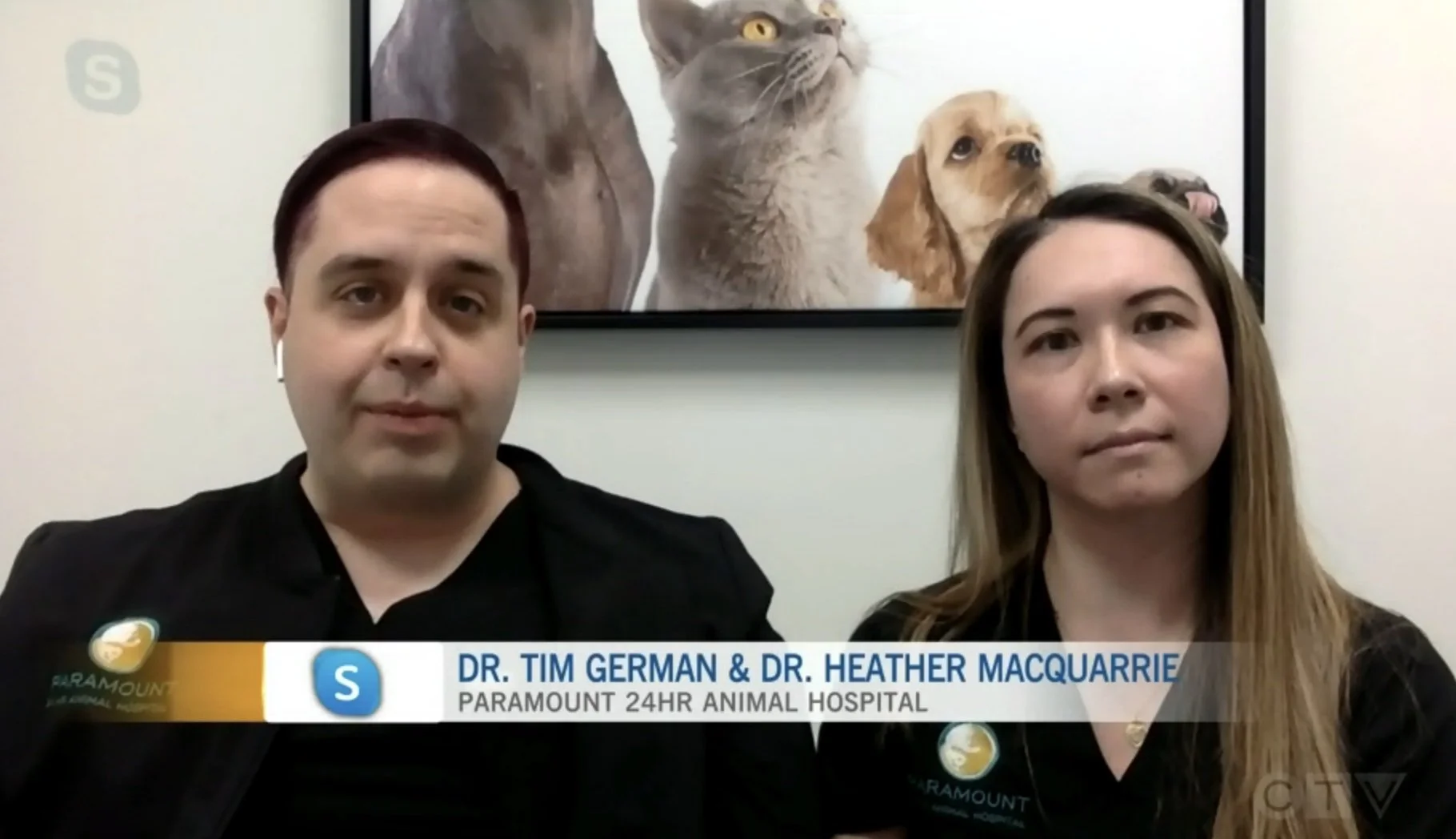 Paramount 24 hour Animal Hospital - Calgary Emergency Vet