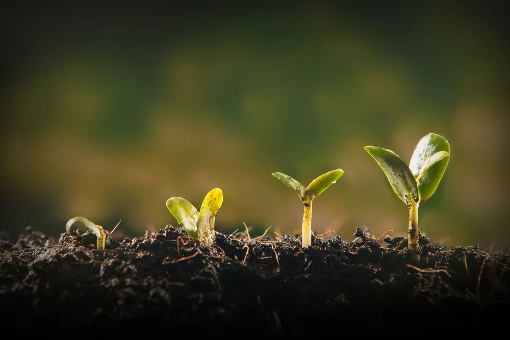 Why Compost Matters — Us Composting Infrastructure Coalition
