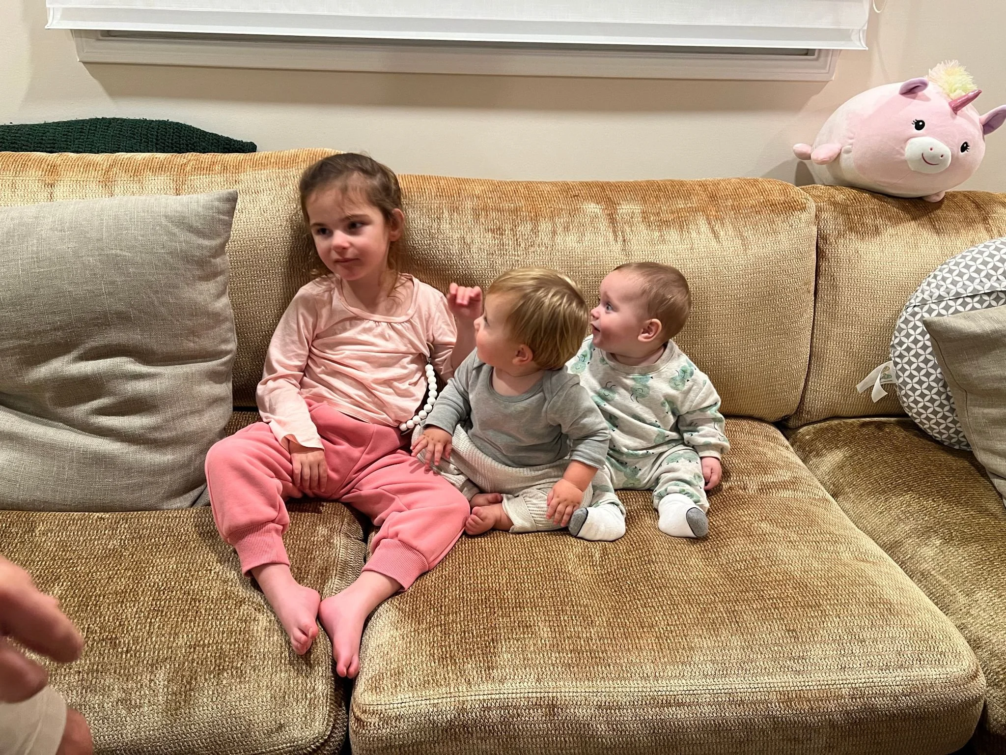 Stella Update December 2023 — Stella Strong