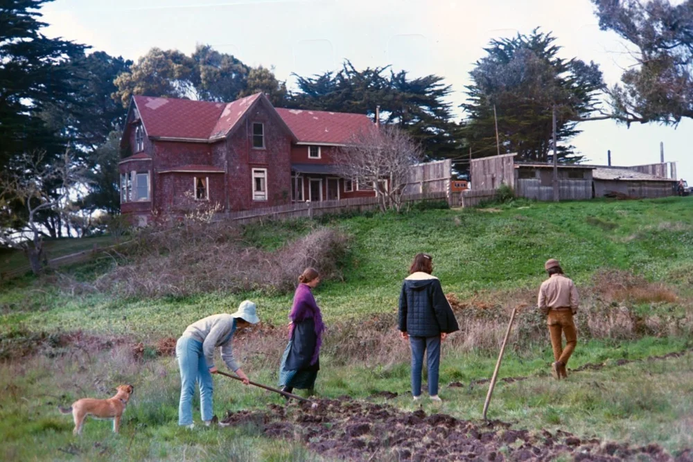 History — Jug Handle Farm