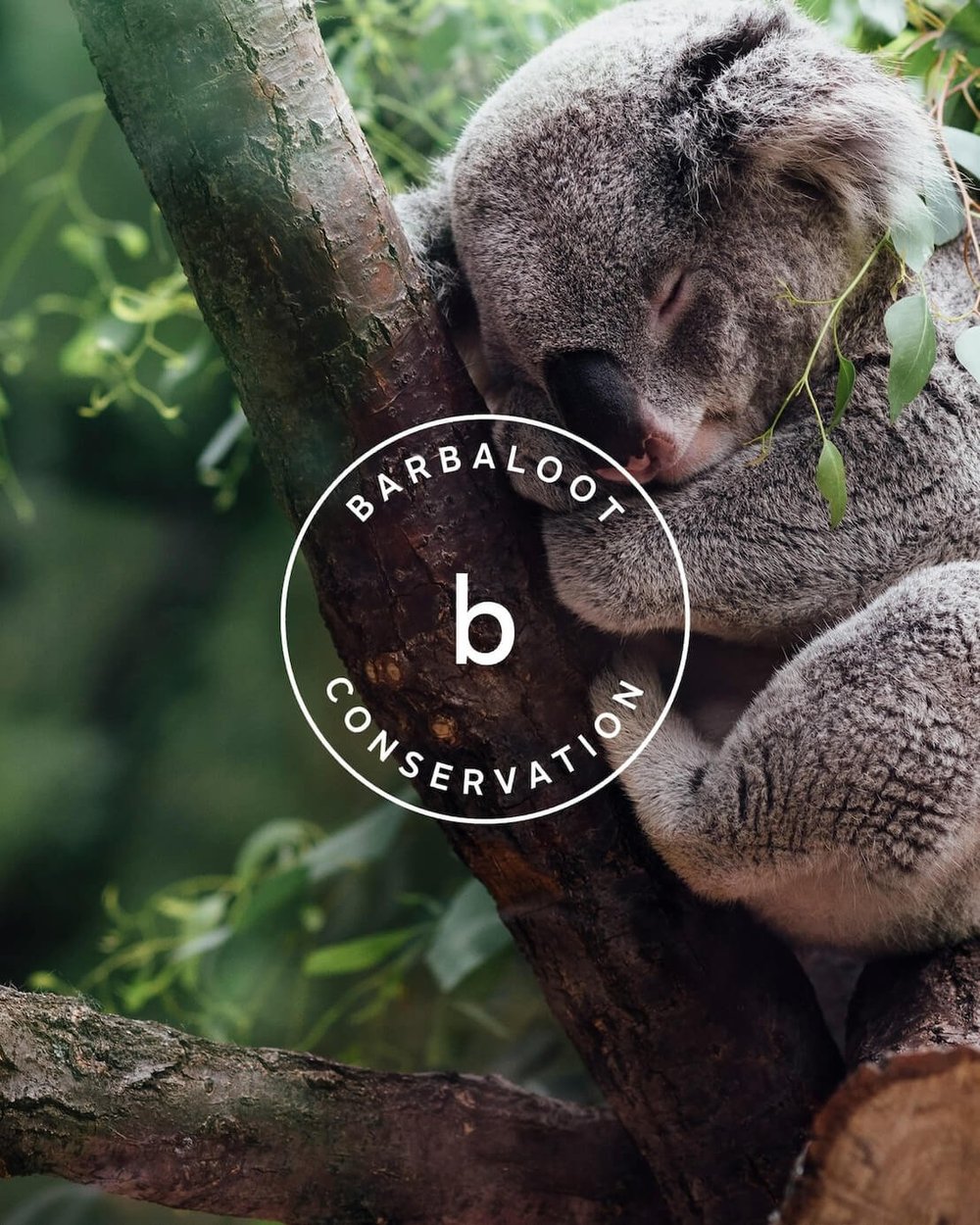 Brand and Website Design for Australian Wildlife Sanctuary | Barbaloot ...