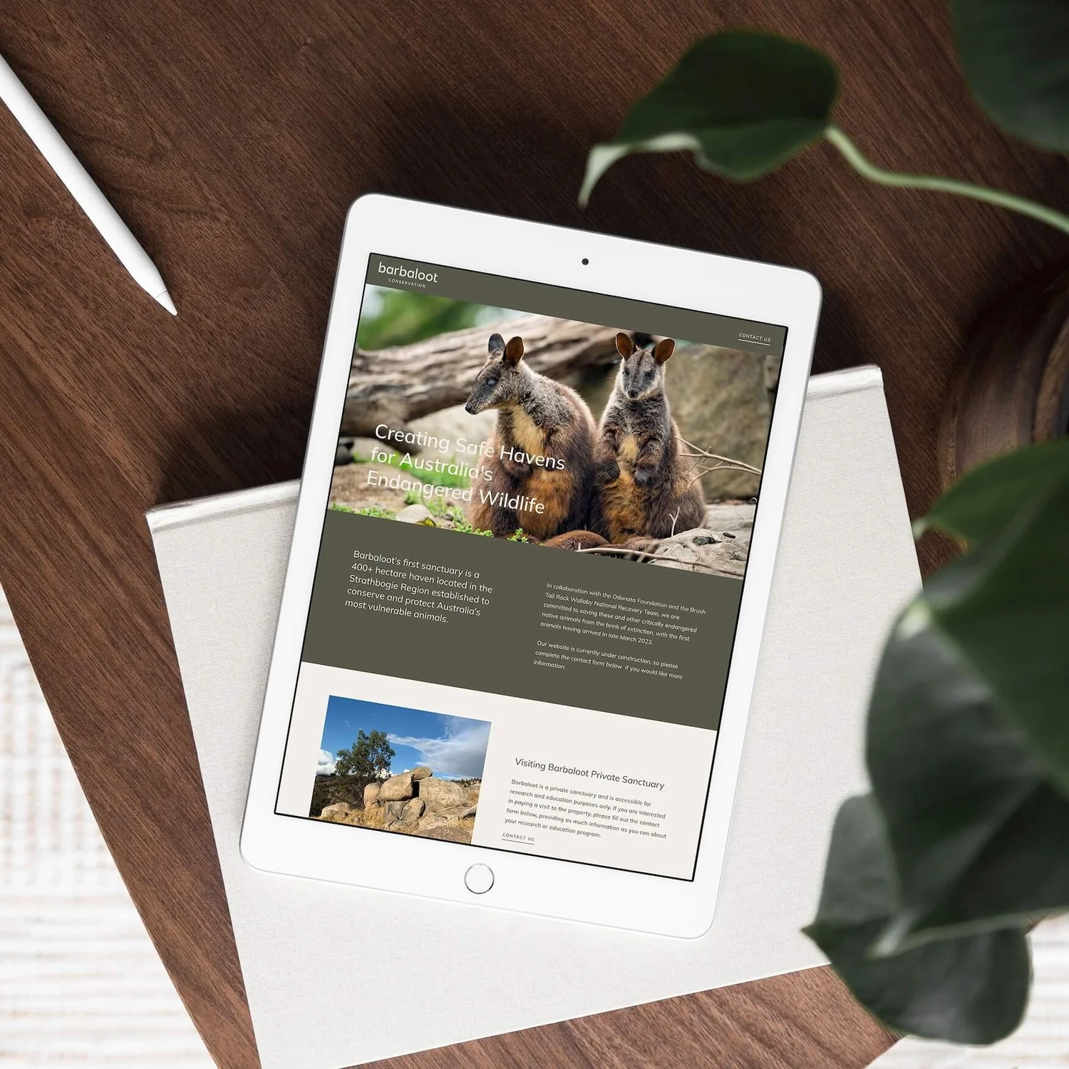 Brand and Website Design for Australian Wildlife Sanctuary | Barbaloot ...