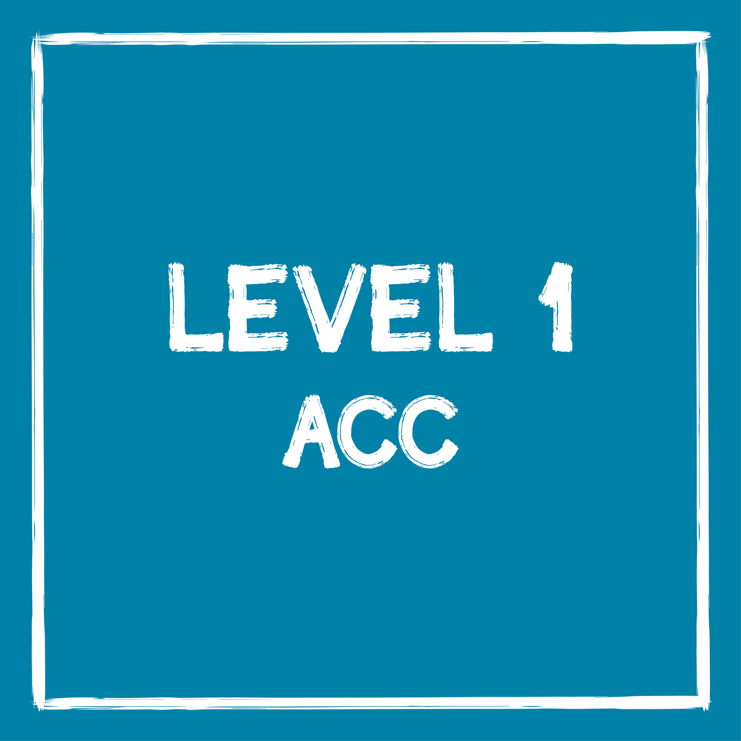 Advanced Coaching Practicum - Ontological Coach Training