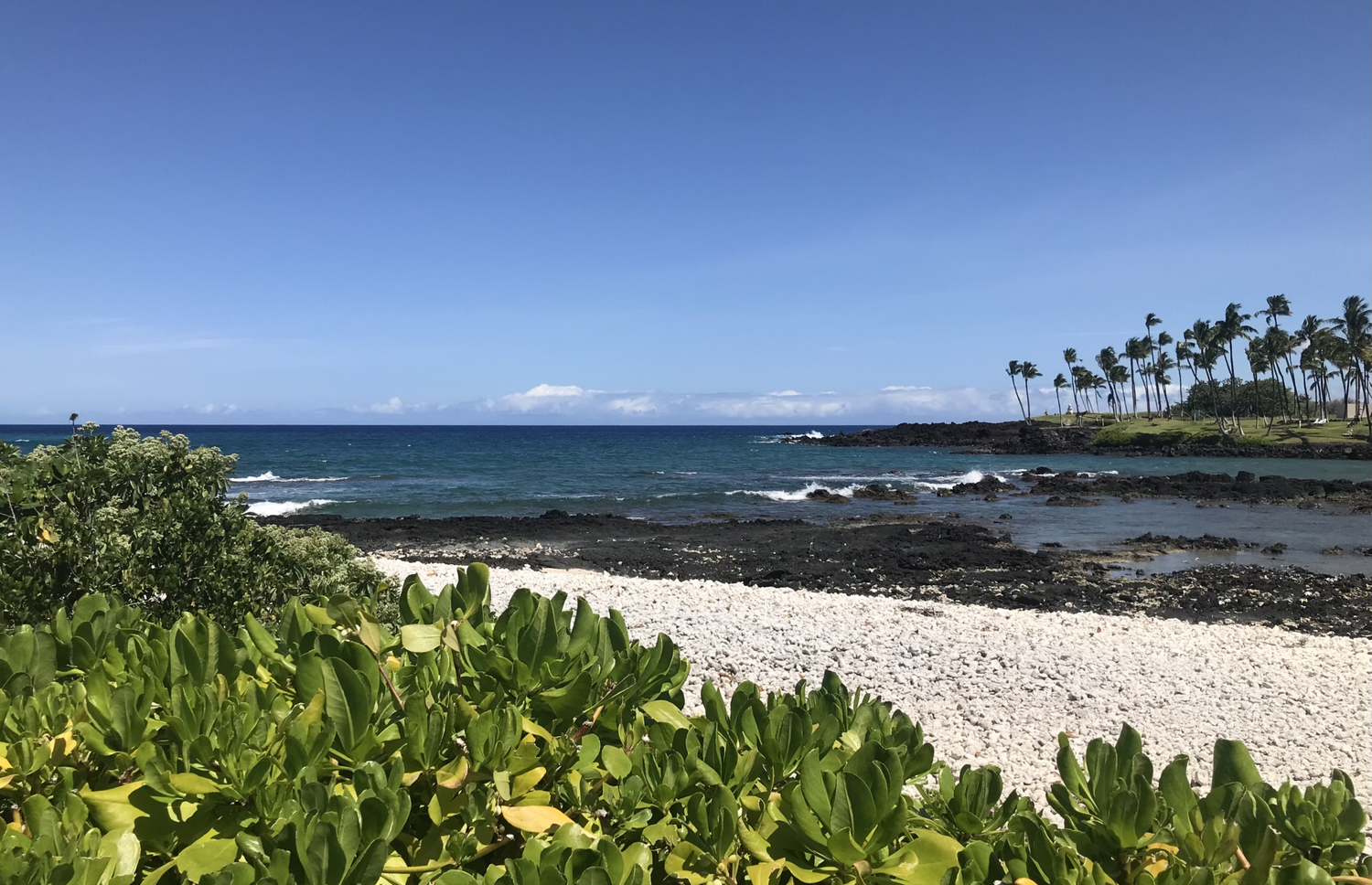 Citizens Climate Lobby Hawaii