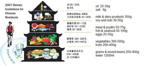 Ask Mang | What does the Chinese food guide really say about meat ...