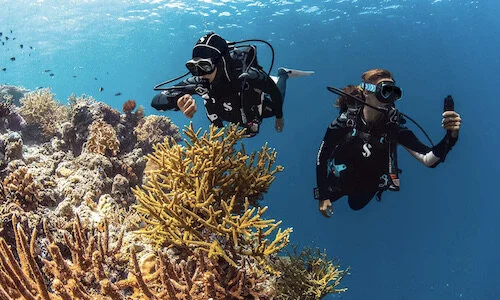 Continue your Adventures — Scuba Charlotte