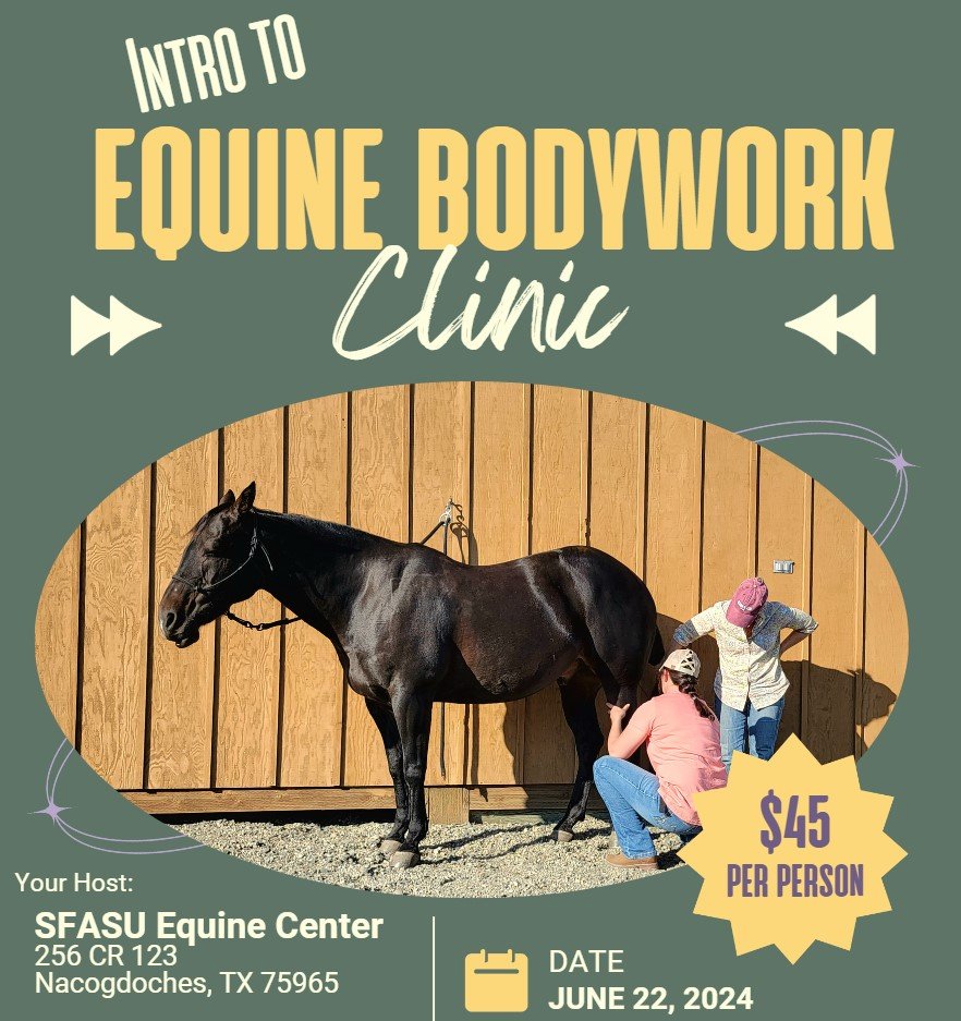 Store — Equine Unbound