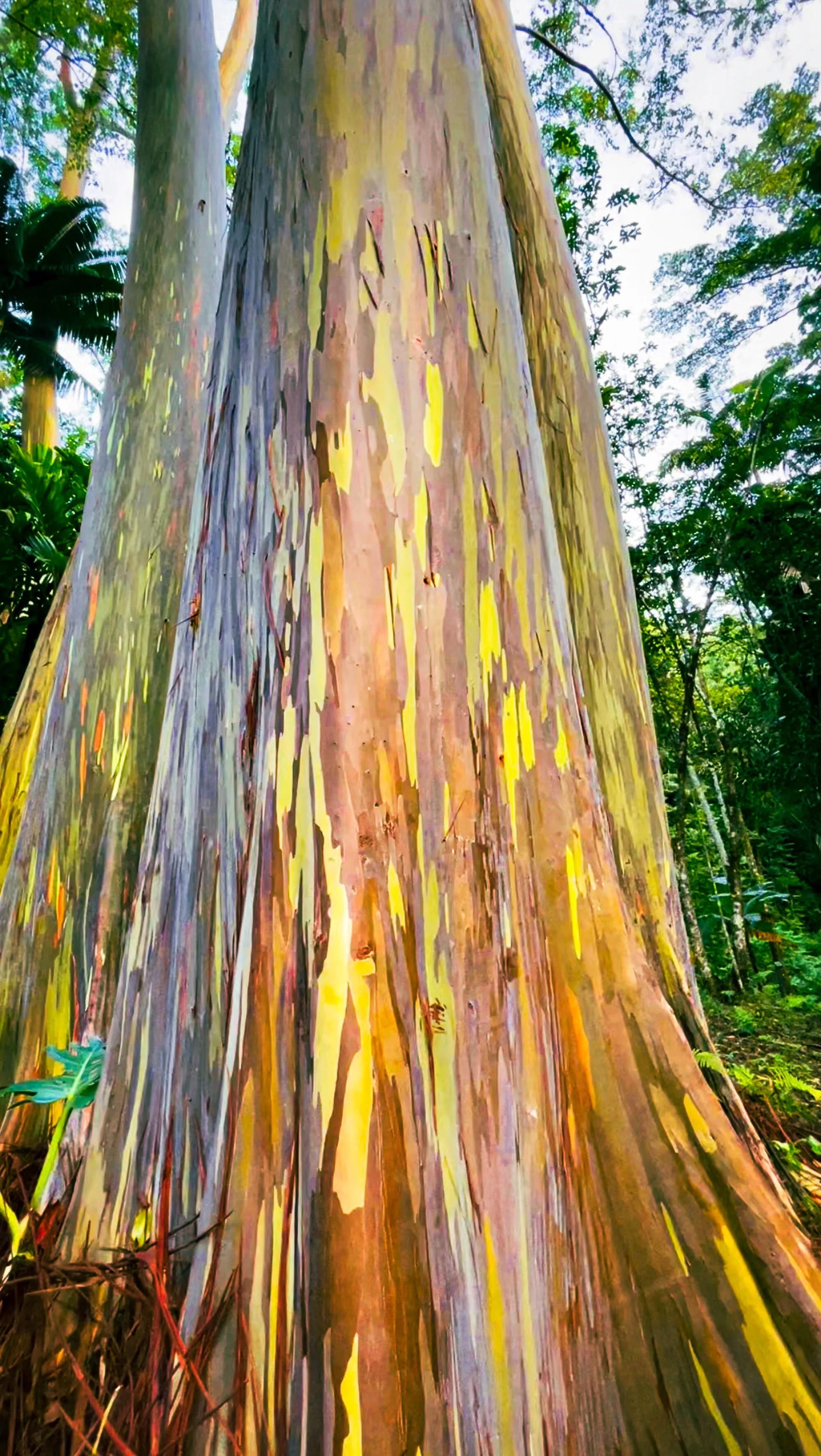 her wild wanderings — hiking & travel blog