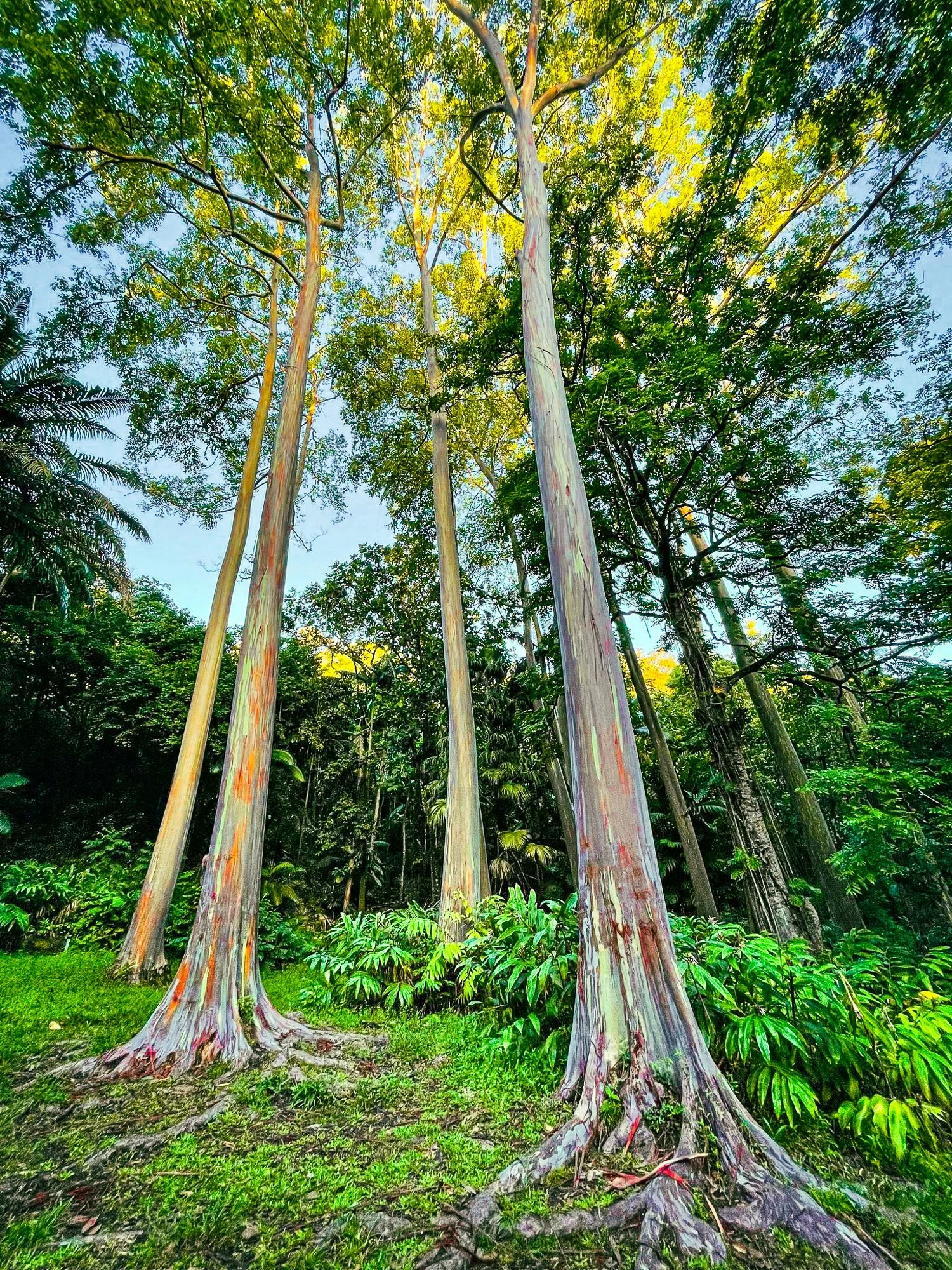 her wild wanderings — hiking & travel blog