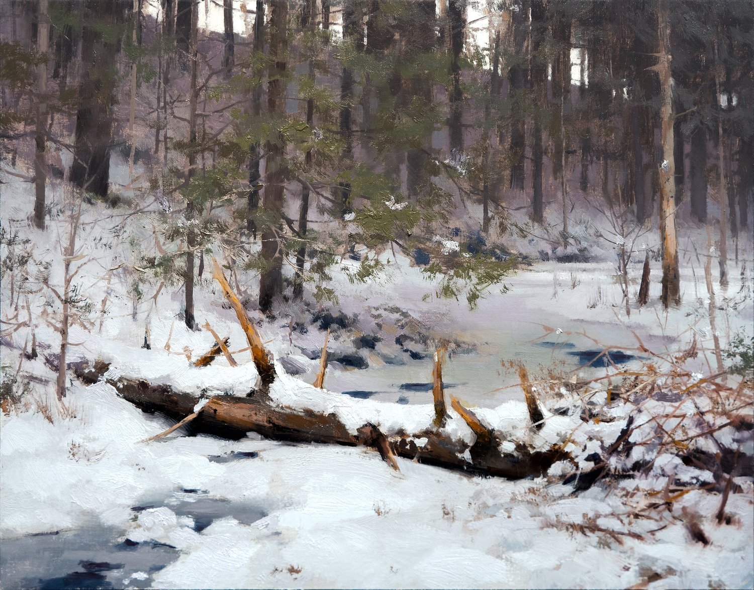 Quiet Winter Forest — MARK BOEDGES