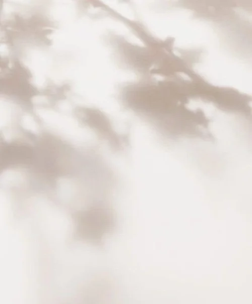 Hips Like Honey — Manuela Mitevova