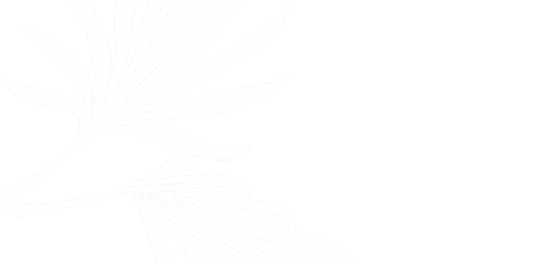 Hips Like Honey — Manuela Mitevova