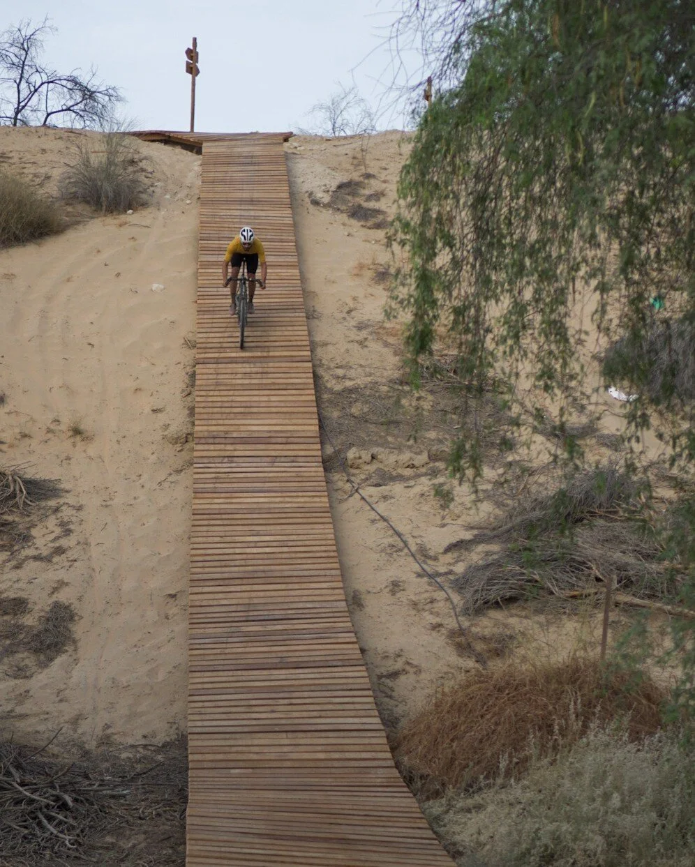 EDGE CYCLING - Premium Bike Shop in UAE