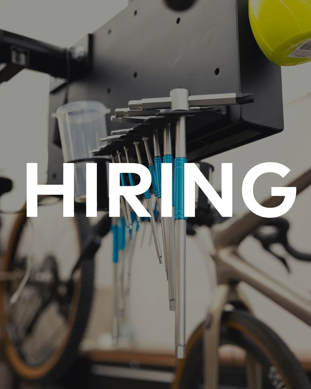 EDGE CYCLING - Premium Bike Shop in UAE