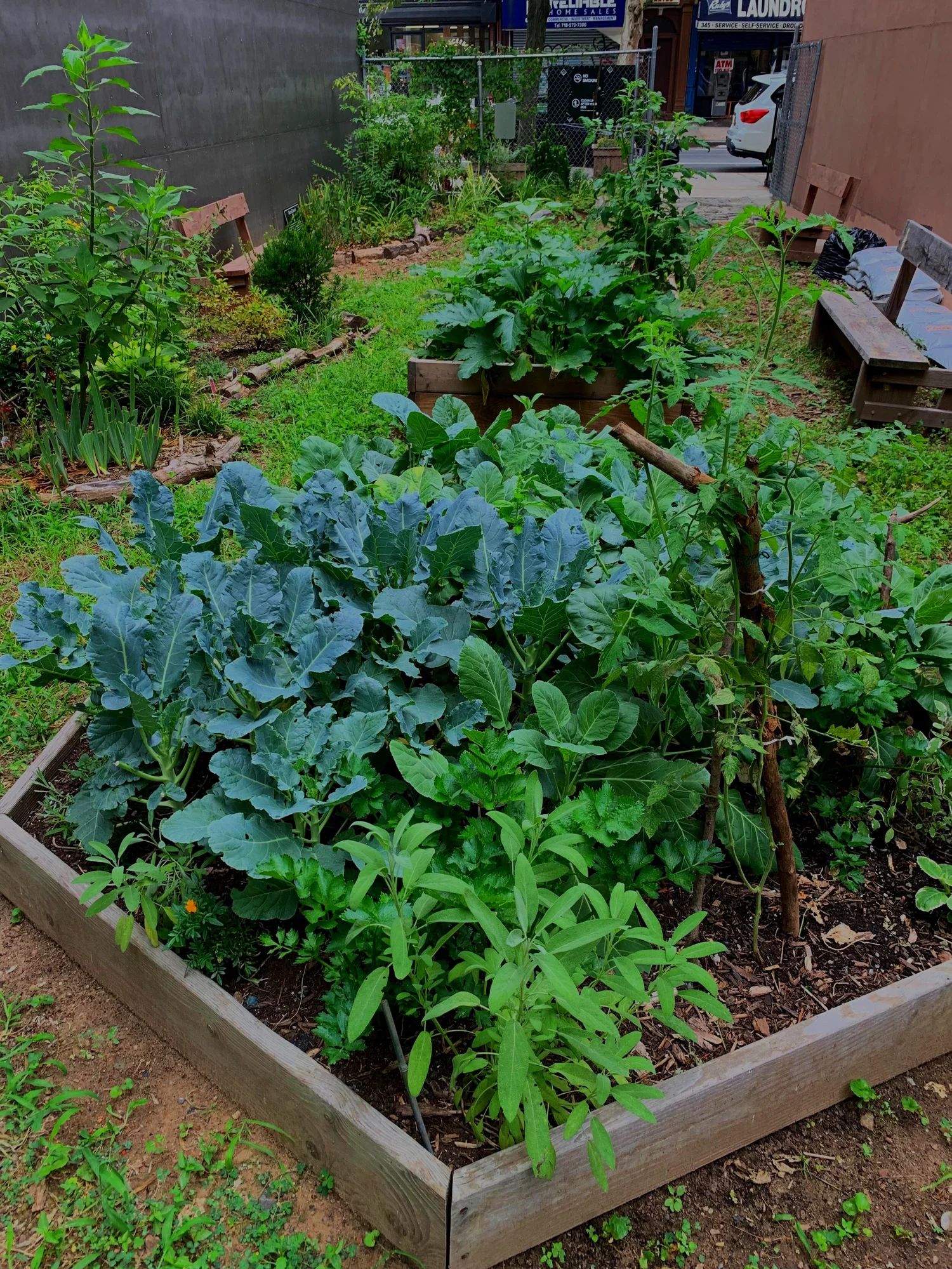 Event — Green Guerillas