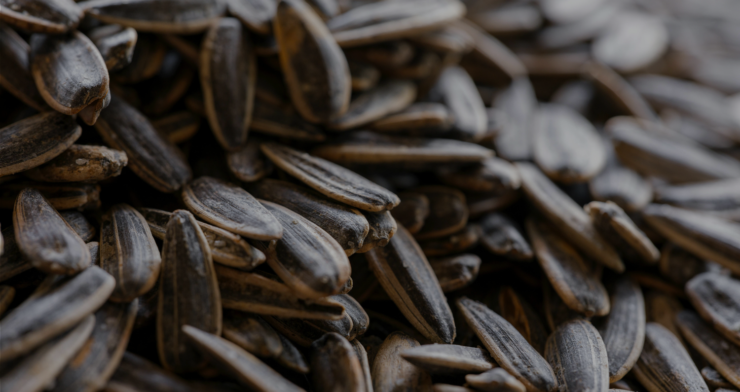 Seed Library FAQs — Green Guerillas