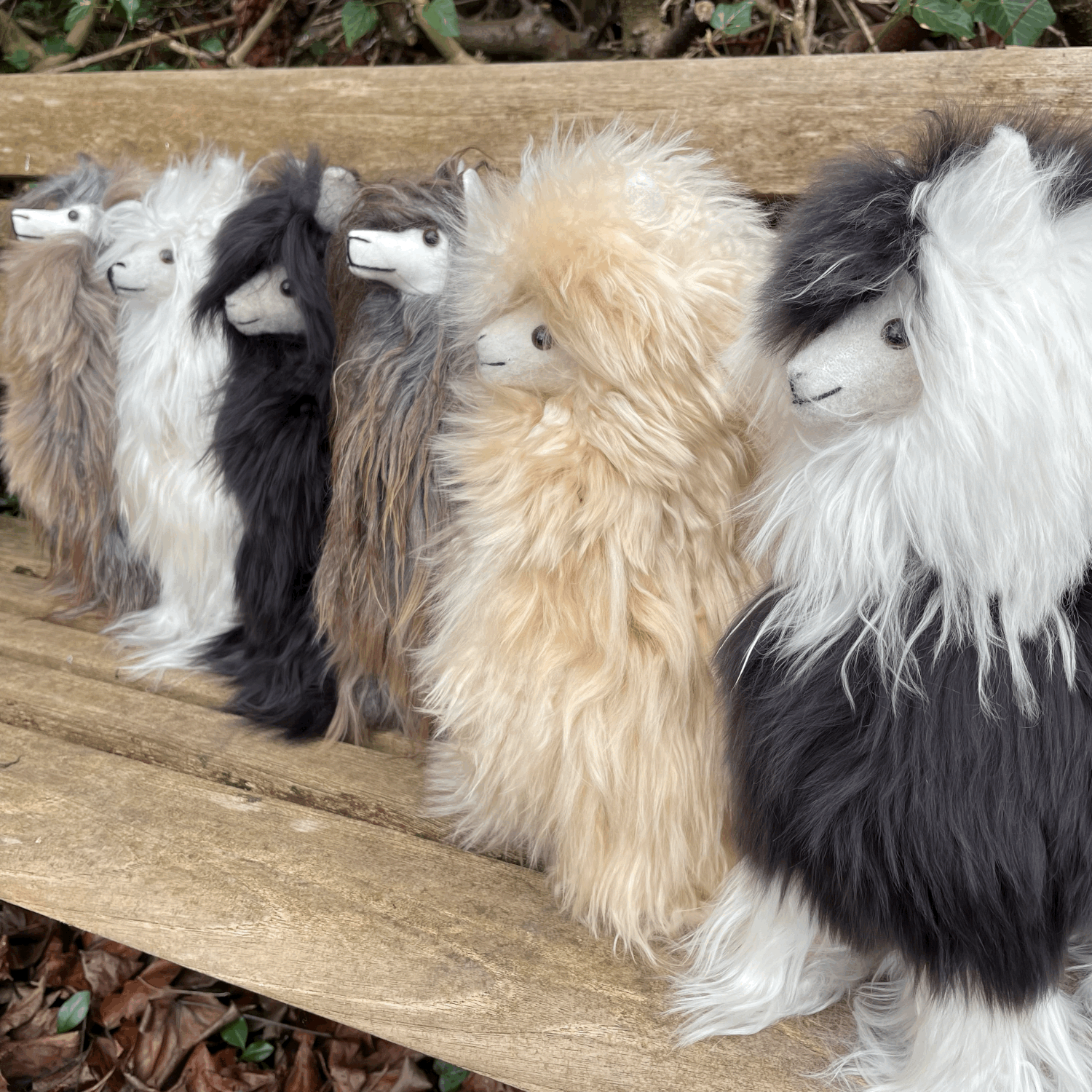 Alpaca Socks, Soft Toys, Gifts... — ALPACA PRODUCTS
