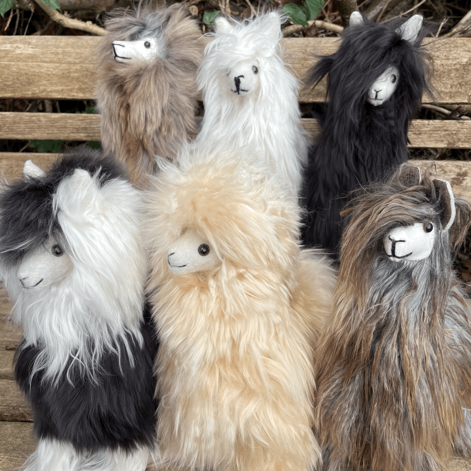 Alpaca Socks, Soft Toys, Gifts... — ALPACA PRODUCTS