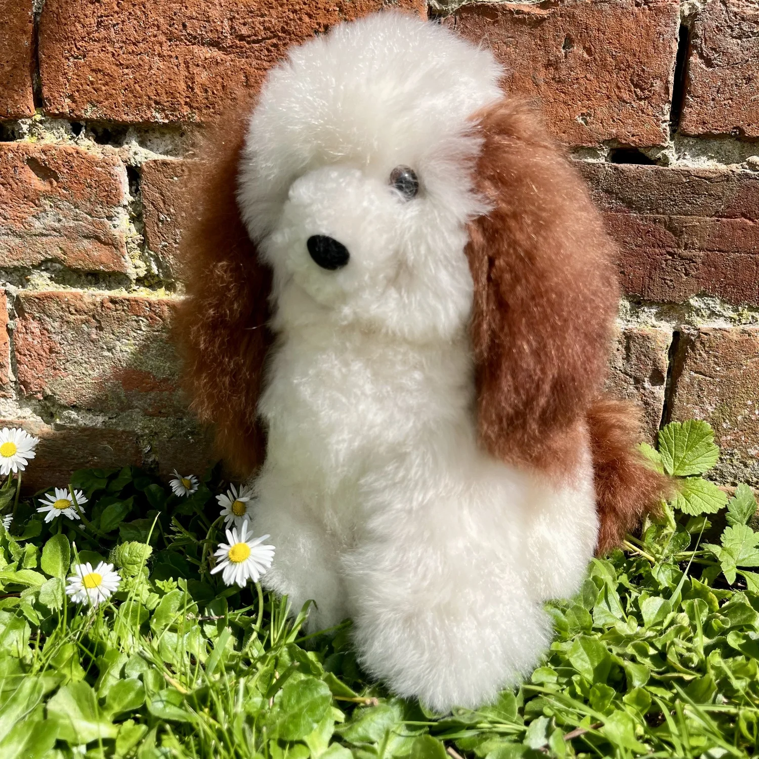 ALPACA PRODUCTS