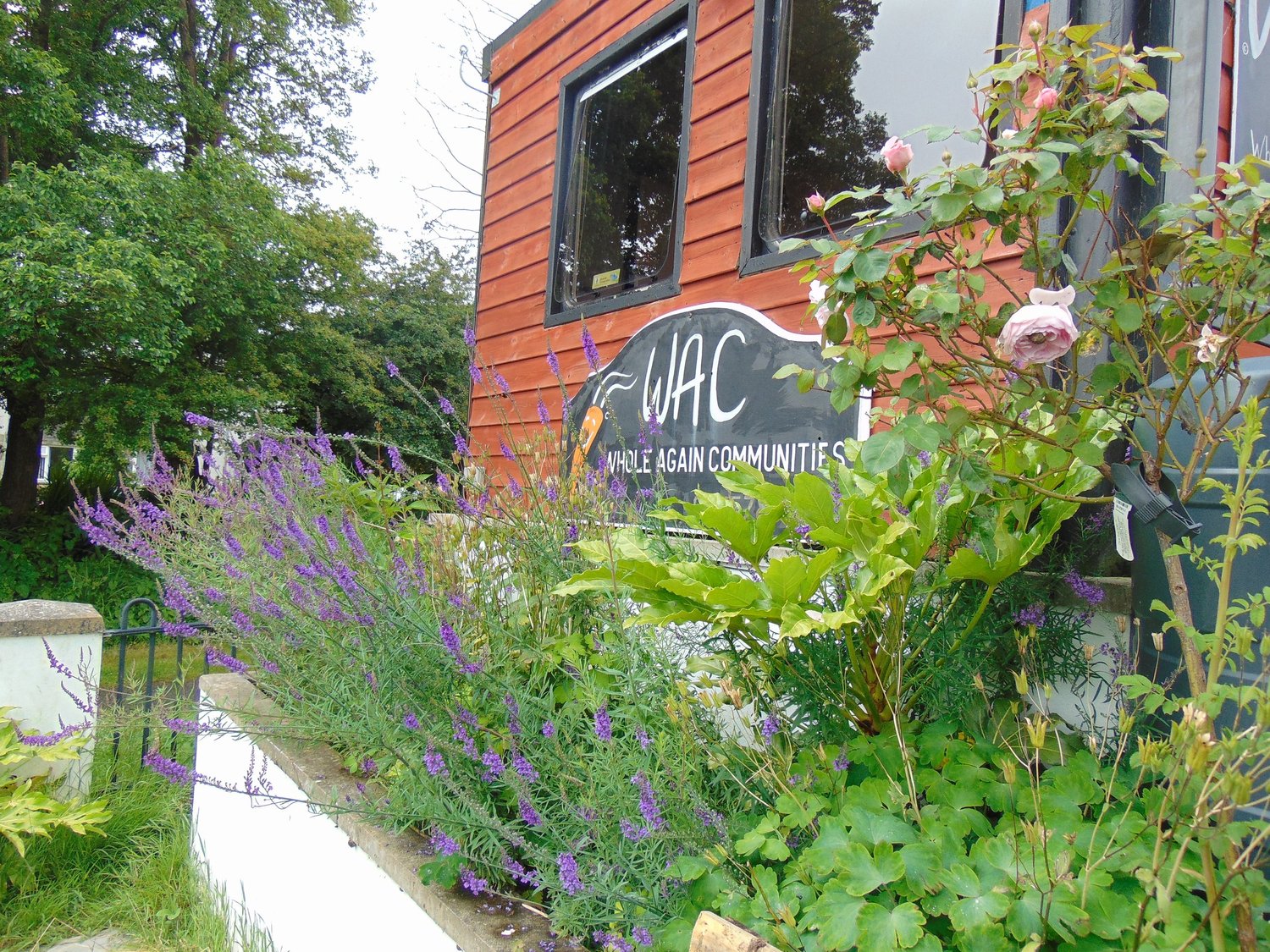 Gallery 2 — Whole Again Communities