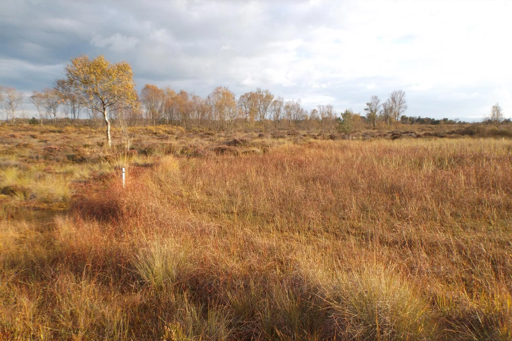 Project Information — FarmPEAT Project