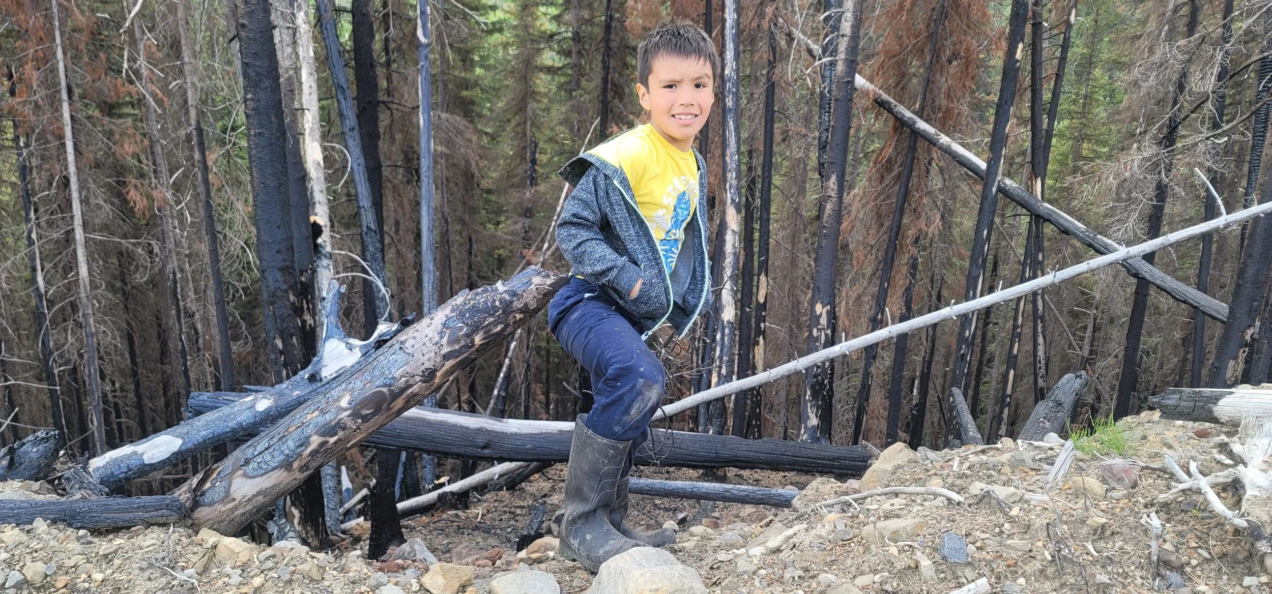 Dry Morel Mushrooms - Grade A Quality - Harvested with Care — Peace ...