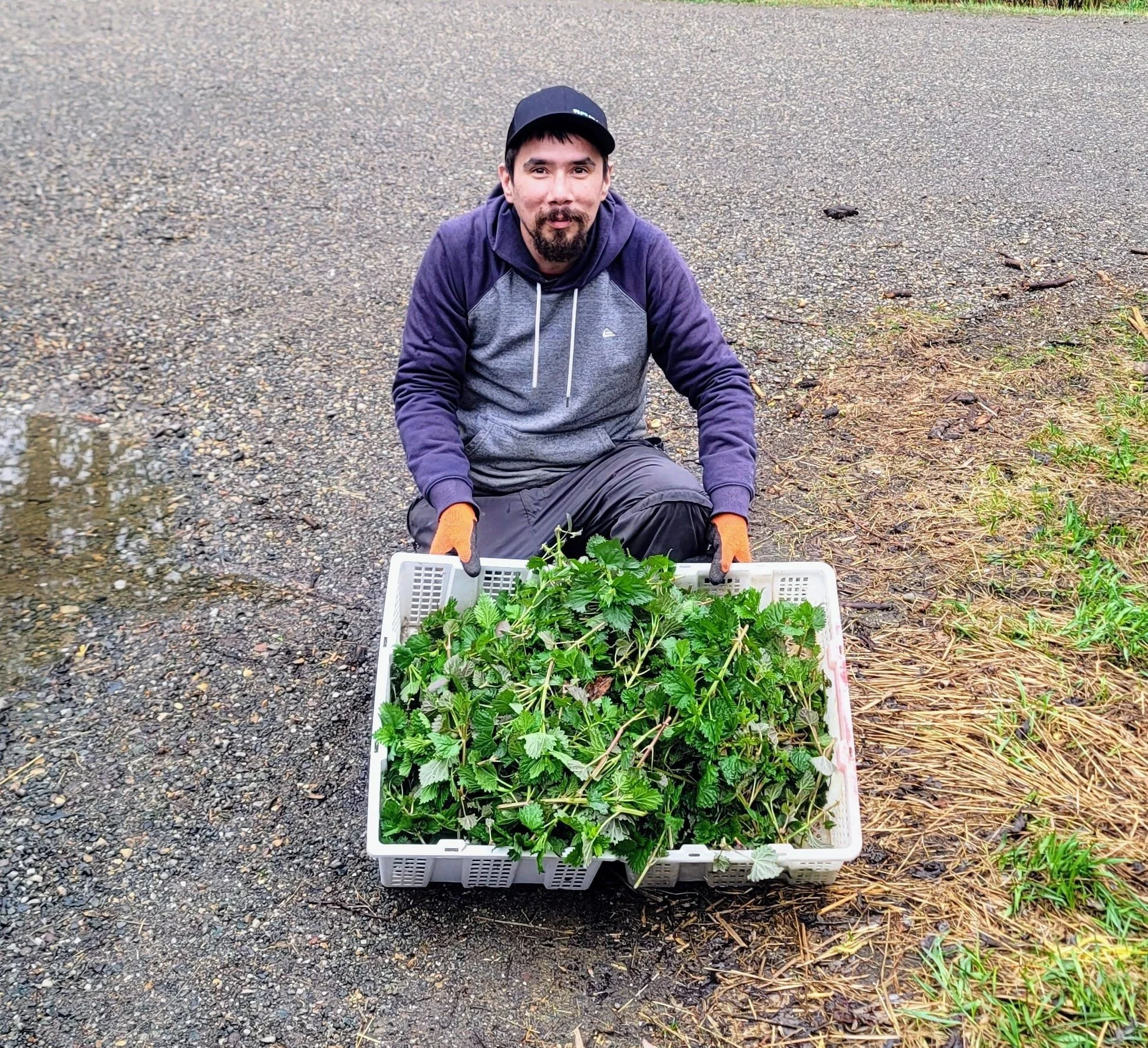 Shop Wild Foods — Peace Valley Foragers