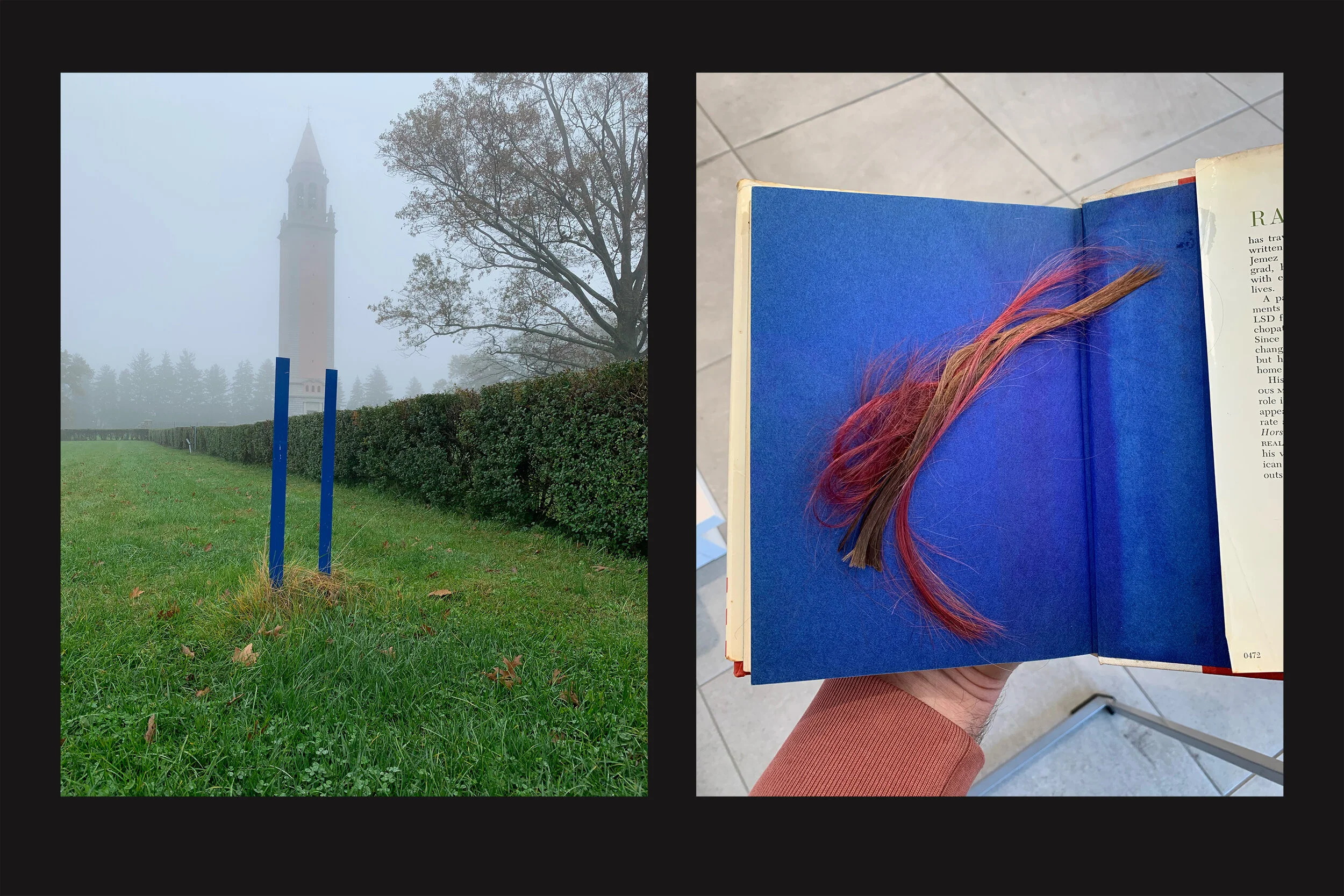 Past Exhibits — The Chesapeake Gallery