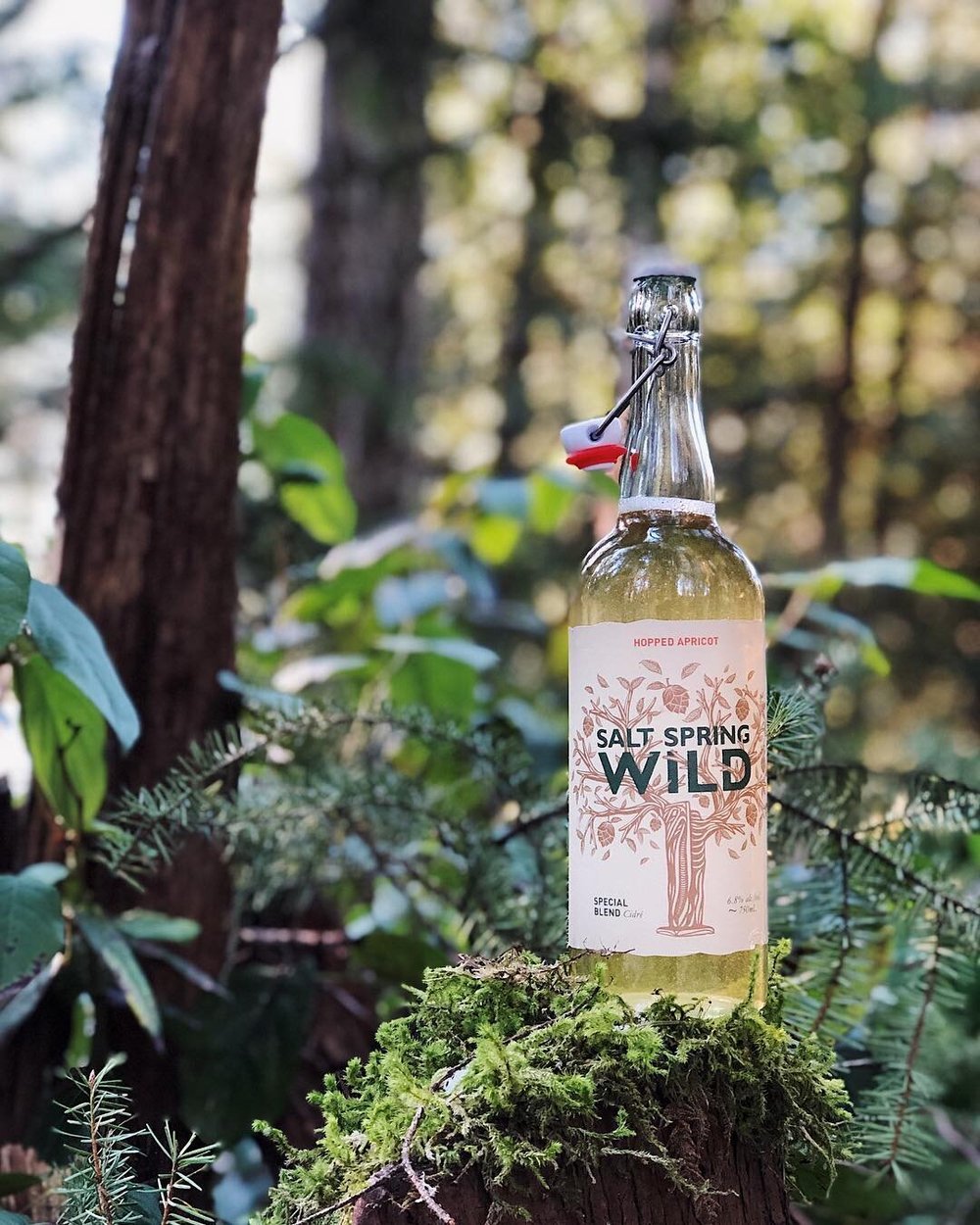 Buy Cider Online — Salt Spring Wild Cider