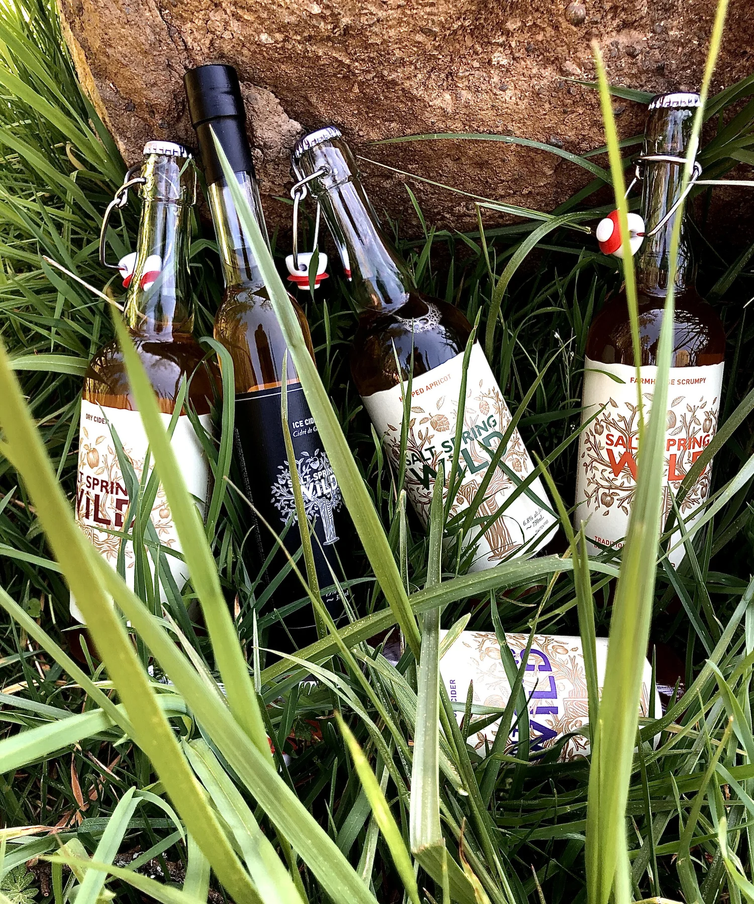 Cider Club — Salt Spring Wild Cider