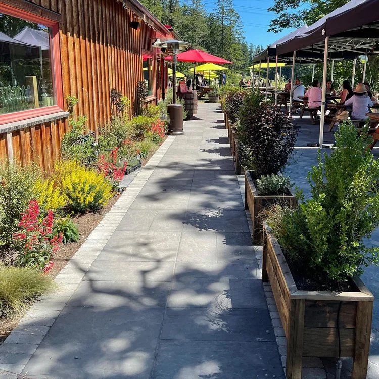 Salt Spring Wild Cider - Craft Cider, Untamed