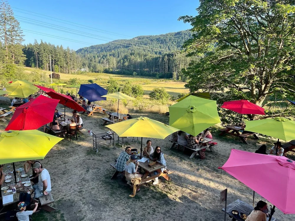 Salt Spring Wild Cider - Craft Cider, Untamed