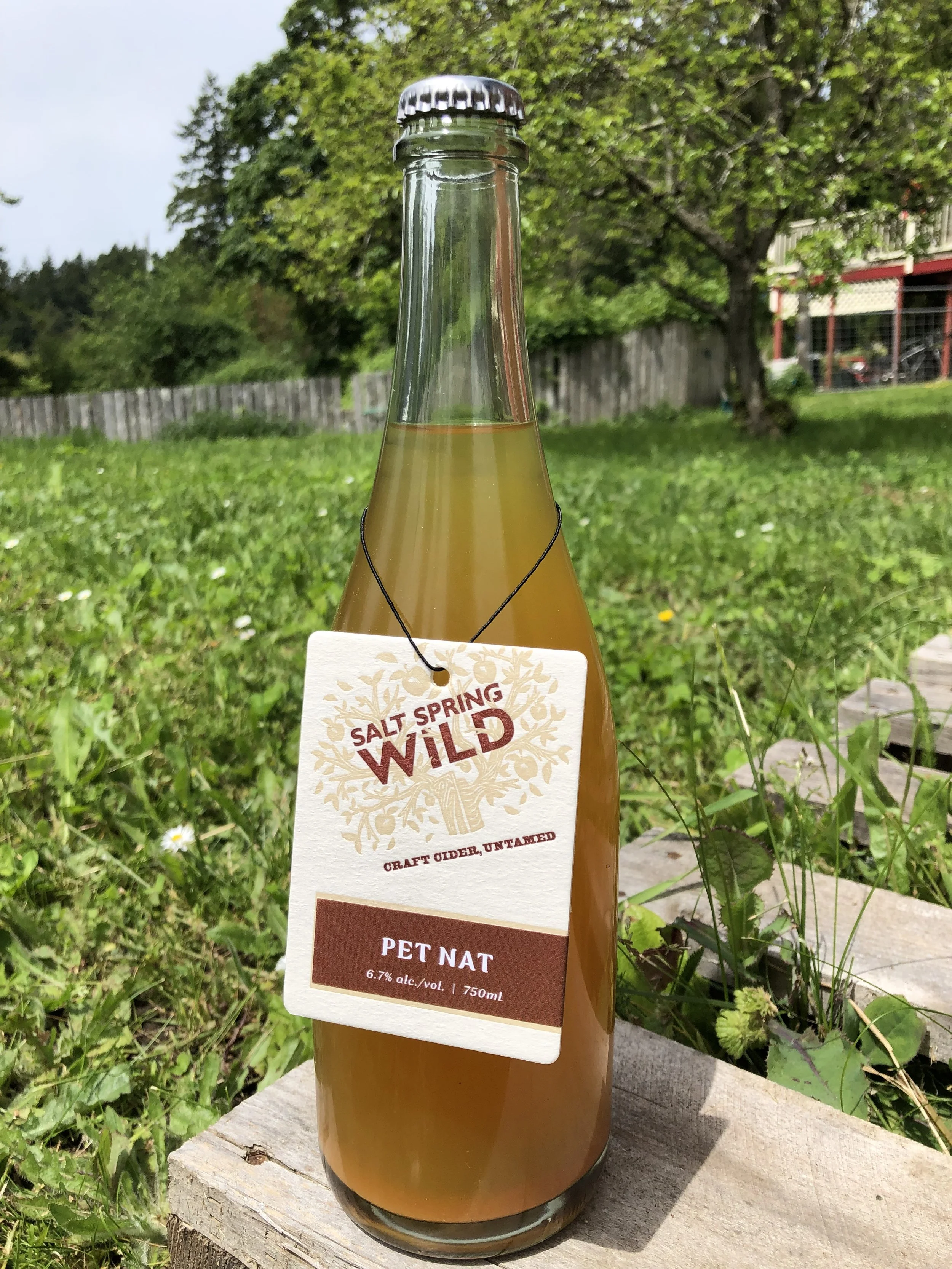 Salt Spring Wild Cider - Craft Cider, Untamed