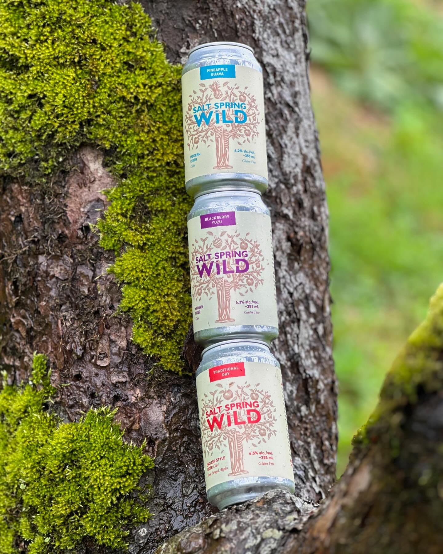 Salt Spring Wild Cider - Craft Cider, Untamed