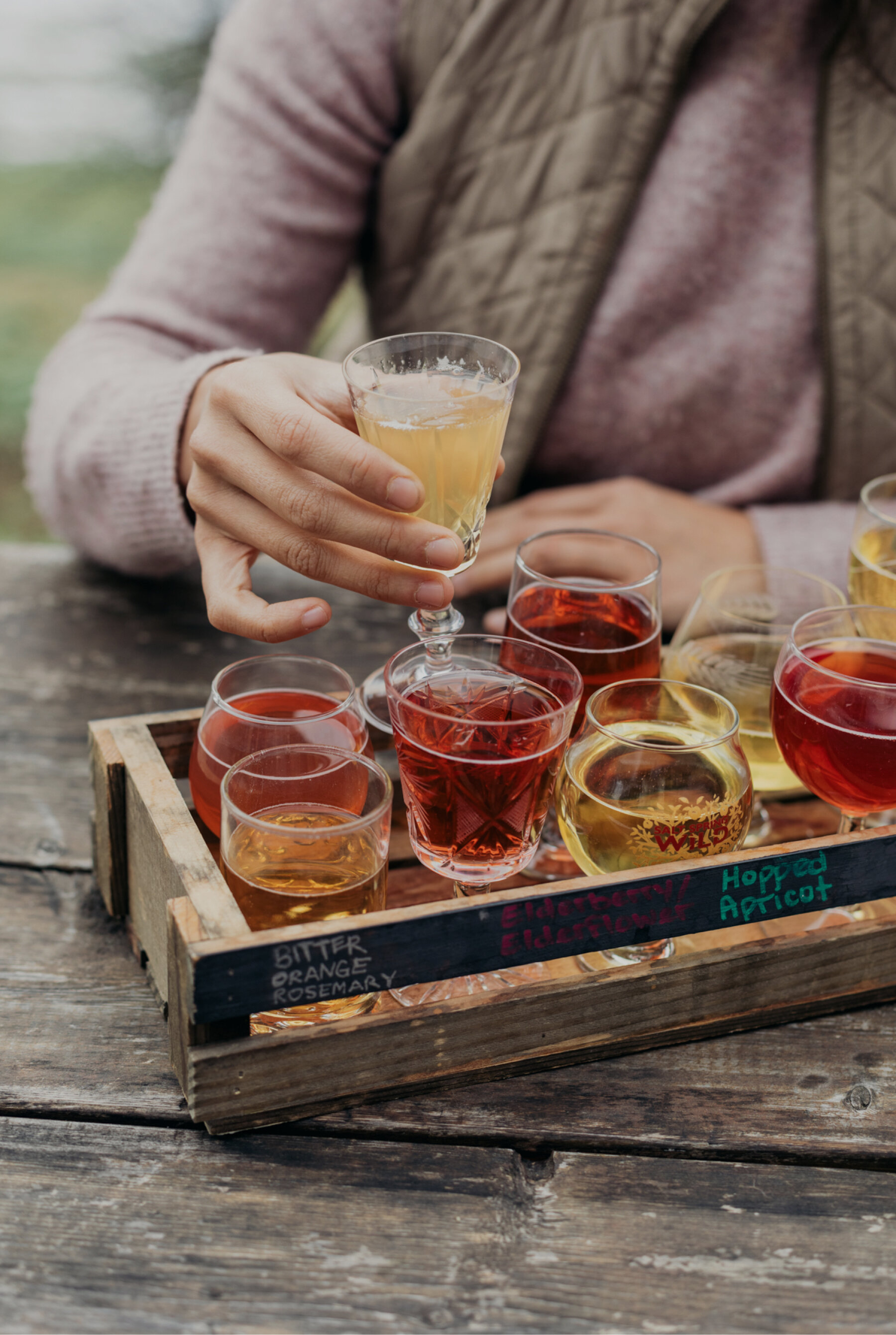 Salt Spring Wild Cider - Craft Cider, Untamed