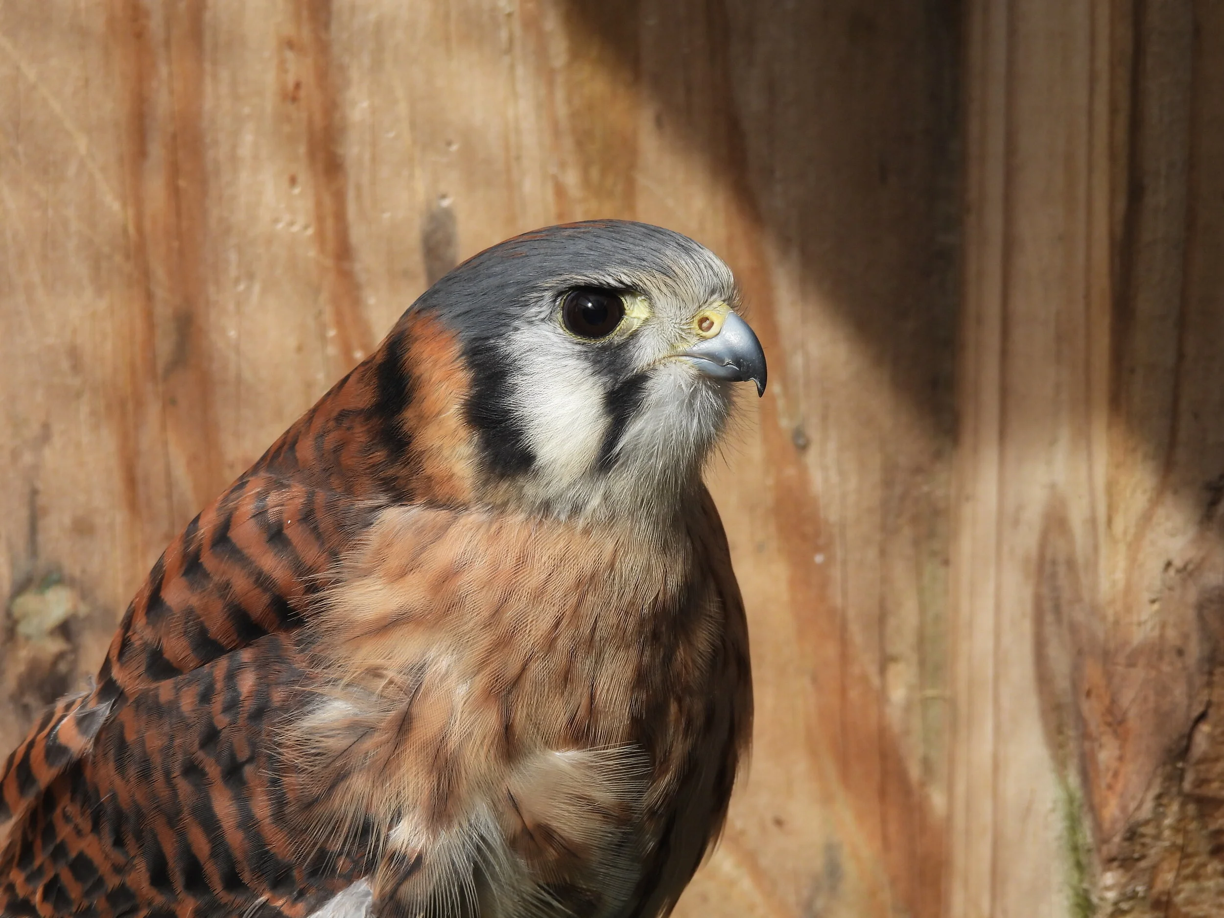 Ohio Nature Education