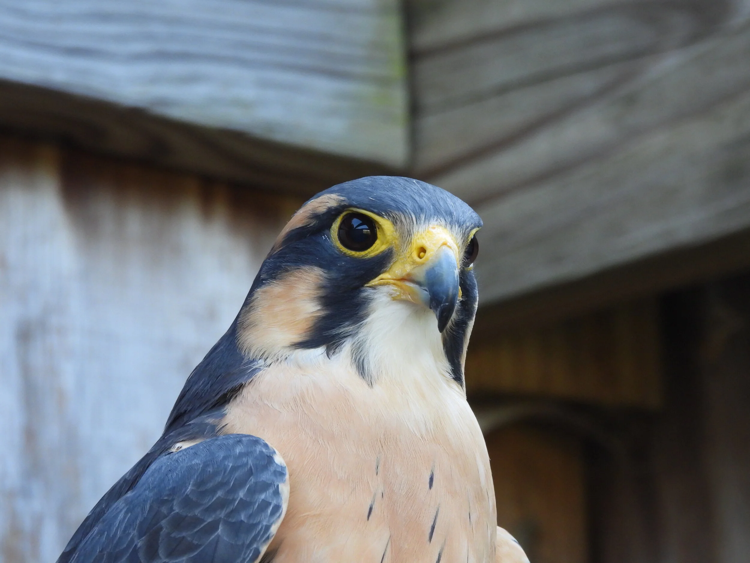 Ohio Nature Education