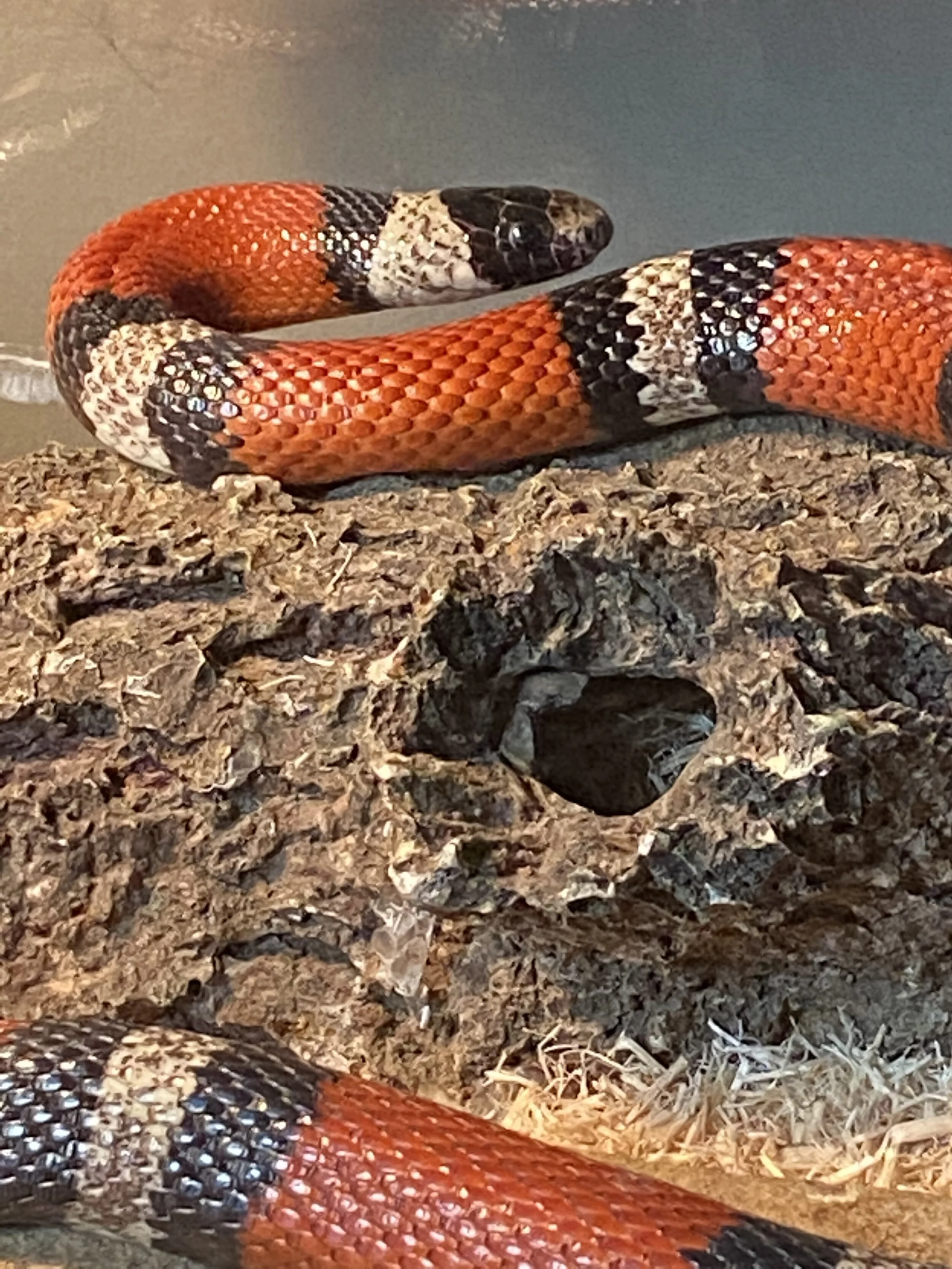 Ohio Nature Education