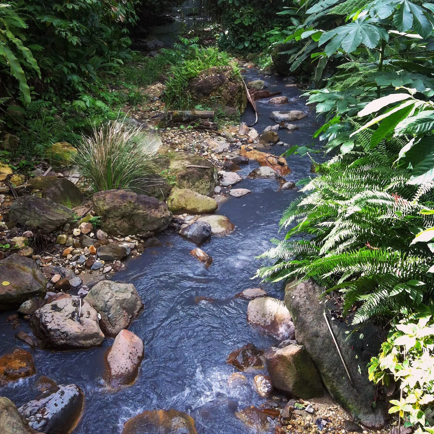 Diamond Falls Botanical Gardens & Mineral Baths