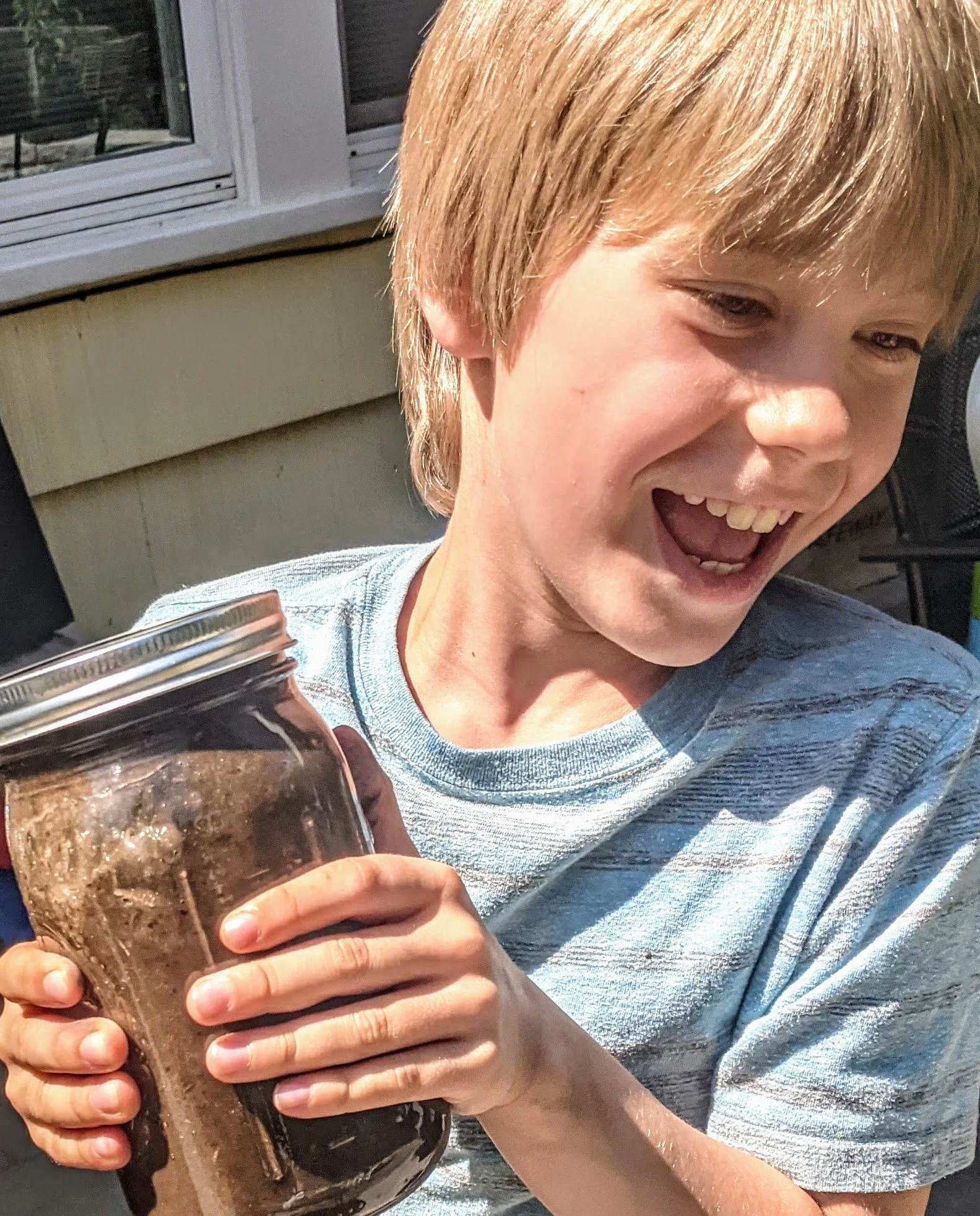 Dirt: Soil Secrets - Science Unit Study — NorthStar Educational ...