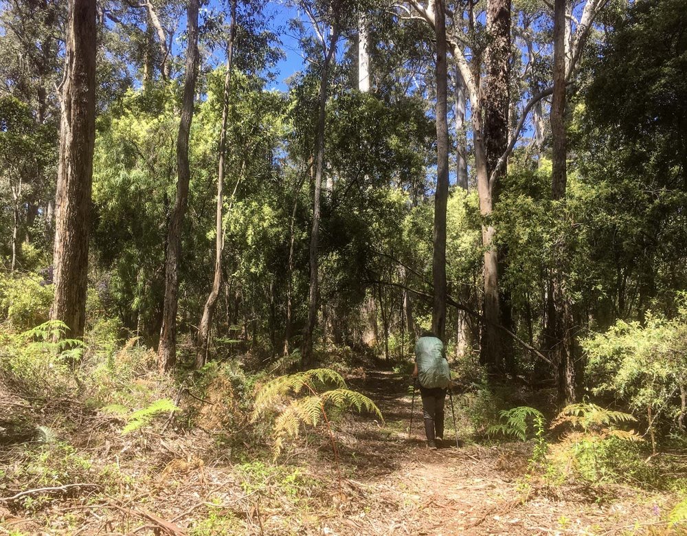 Day 46 Warren to Schafer — Slower Hiking