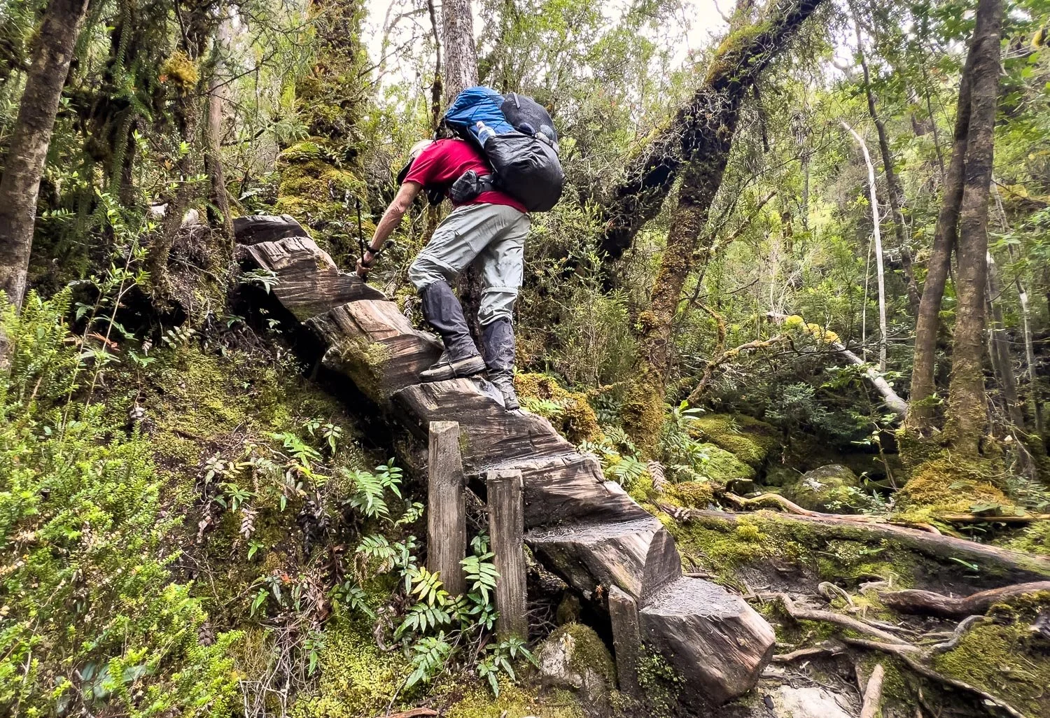 Frenchman’s Cap Trail Planning and Tips — Slower Hiking