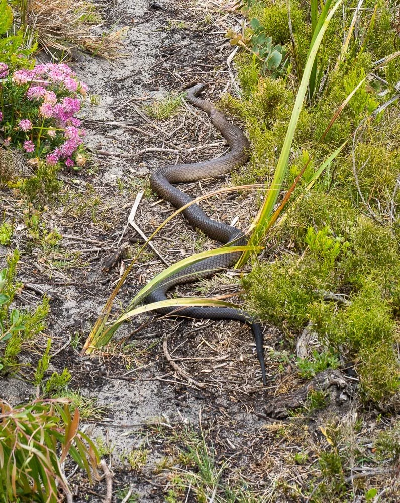 How to Stay Motivated on a Long Distance Hike Part One — Slower Hiking