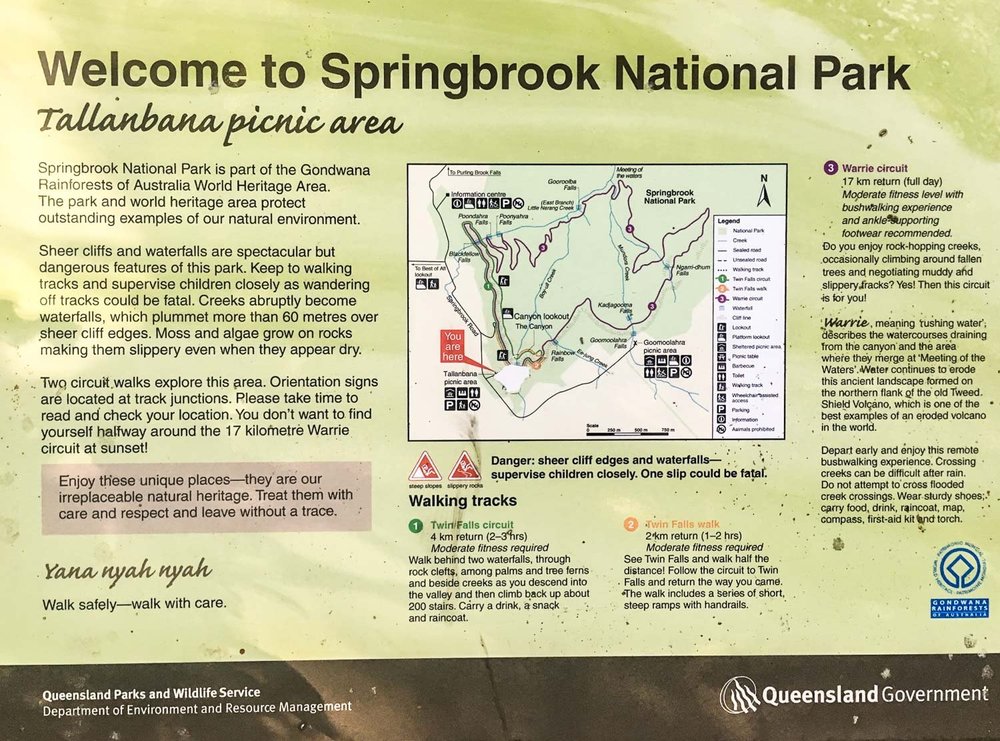 Warrie Circuit Hike, Springbrook National Park , Queensland Australia ...